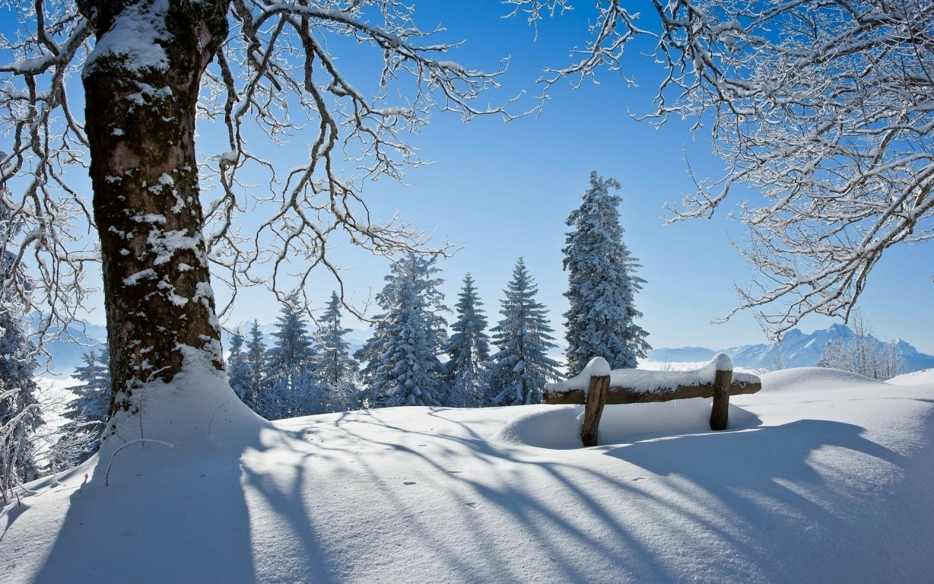 Download Photography Winter HD Wallpaper