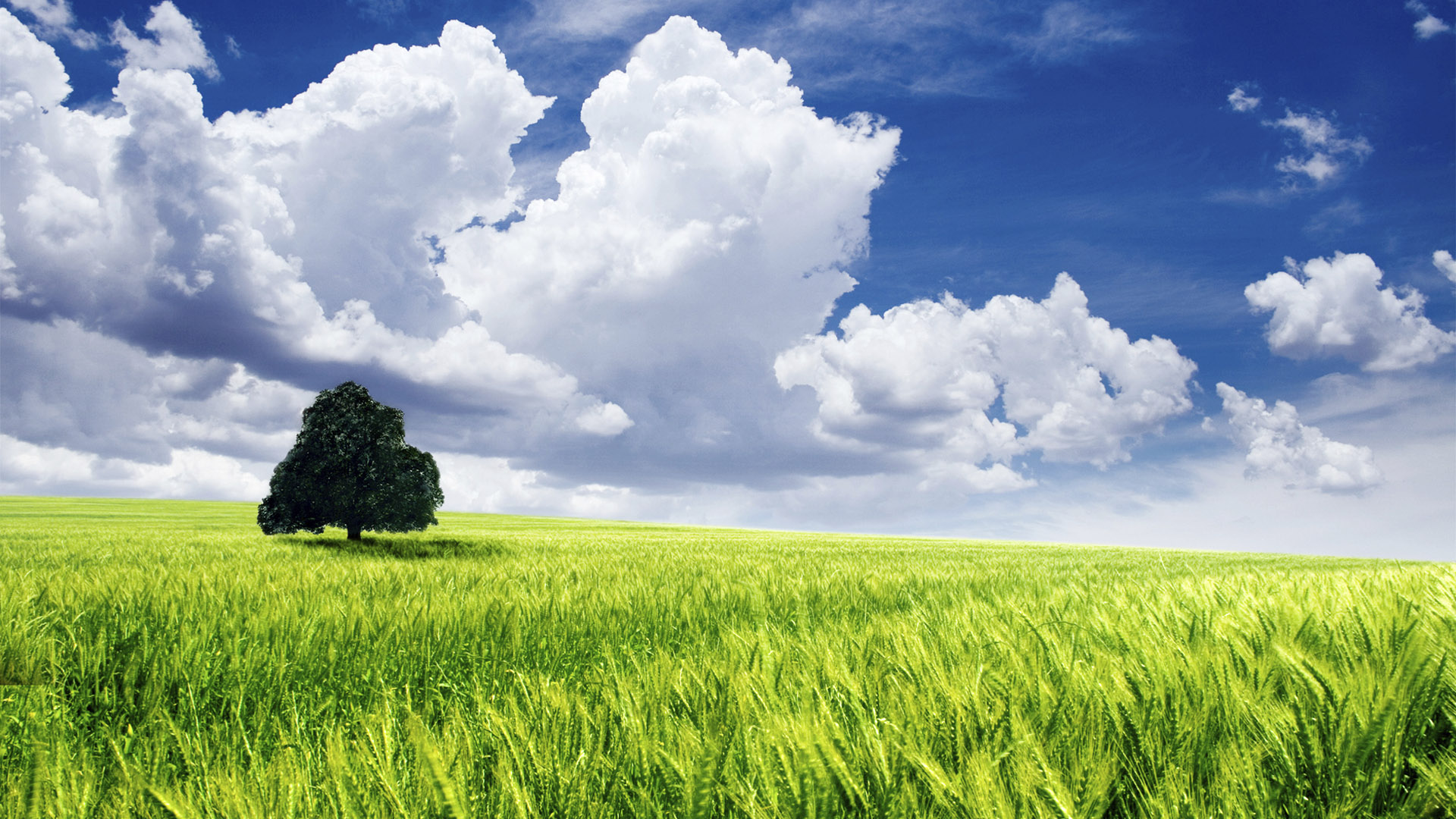Download Blue Green Tree Landscape Nature Field HD Wallpaper