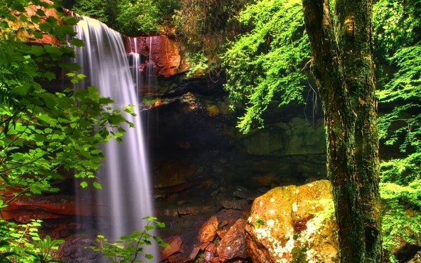 Wallpaper Abyss - HD Wallpapers, Background Images