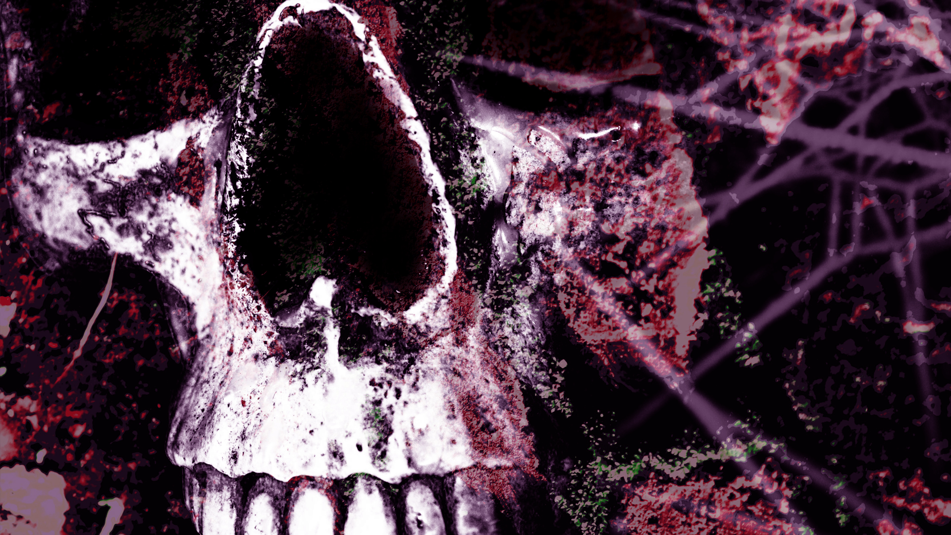 Skull HD Wallpaper