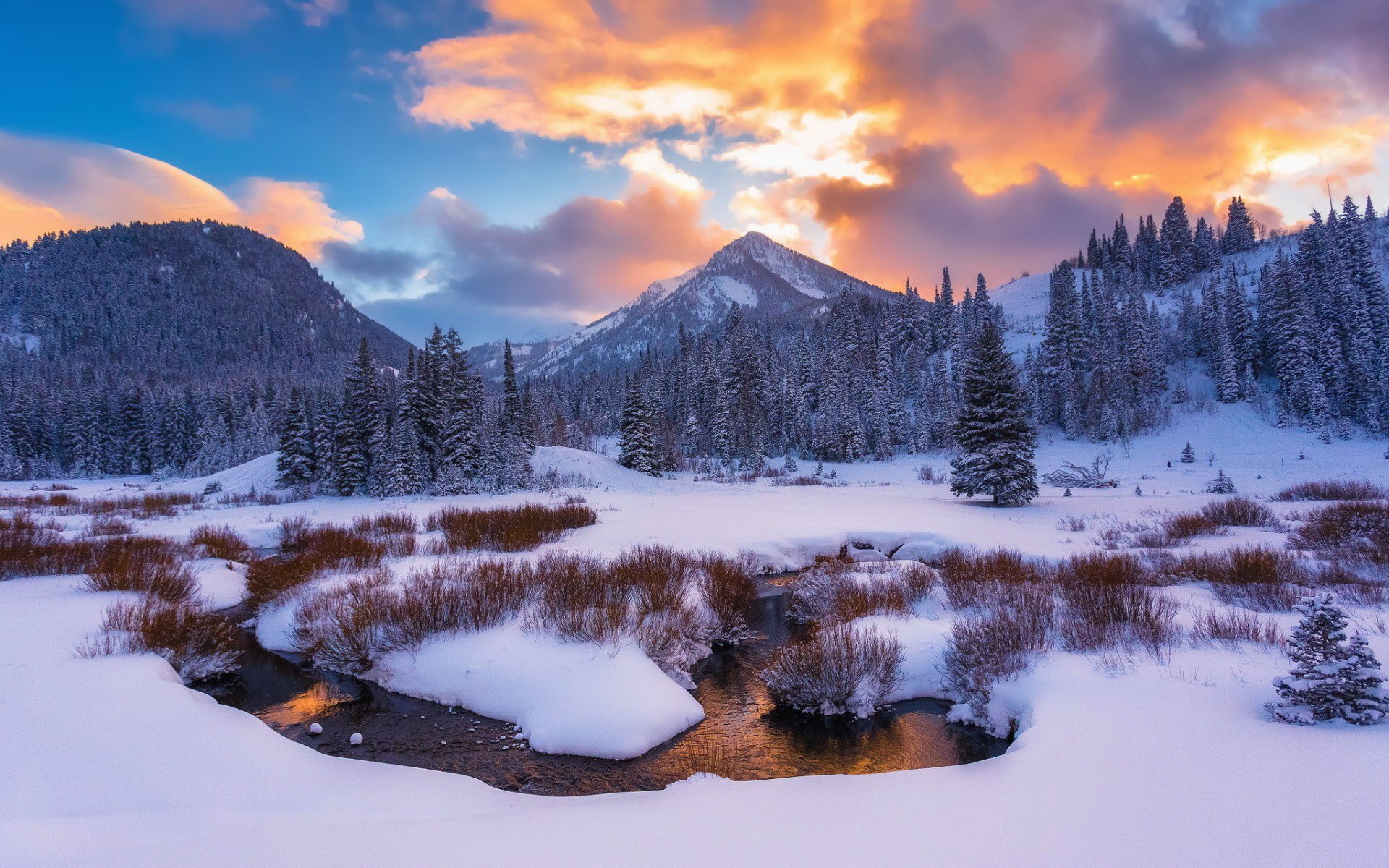 Download Nature Winter HD Wallpaper | 1920x1200 | Wallpaper Abyss