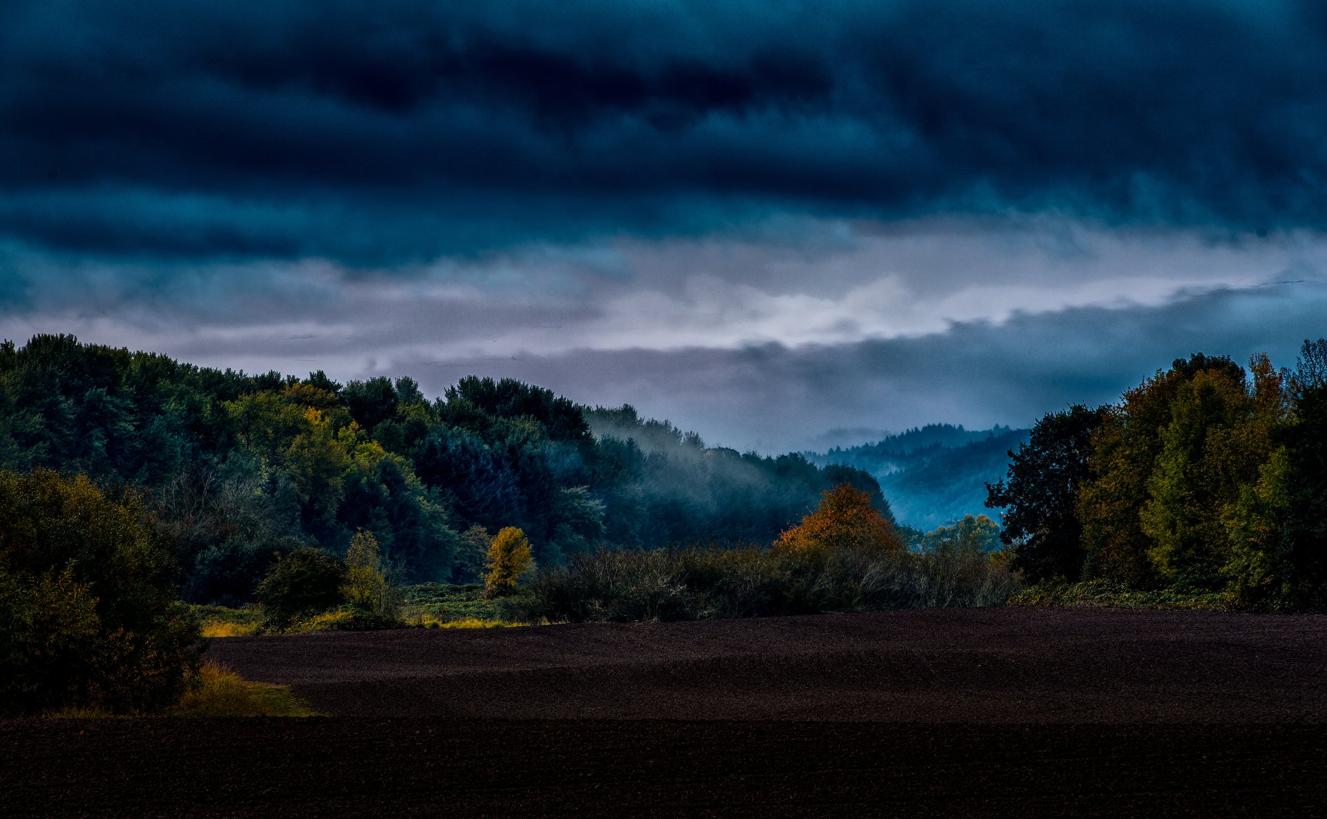 Oregon Island Forest in Fall - 4K Ultra HD Wallpaper