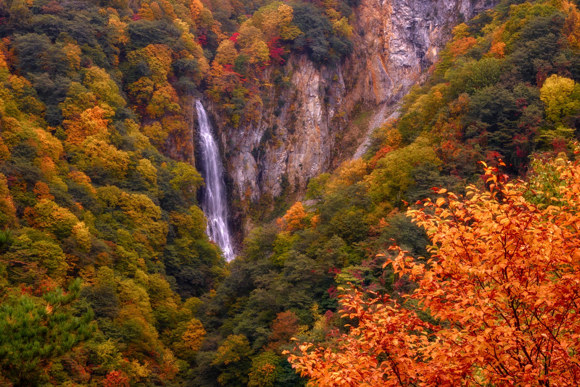 Download Landscape Fall Japan Nature Waterfall 4k Ultra HD Wallpaper
