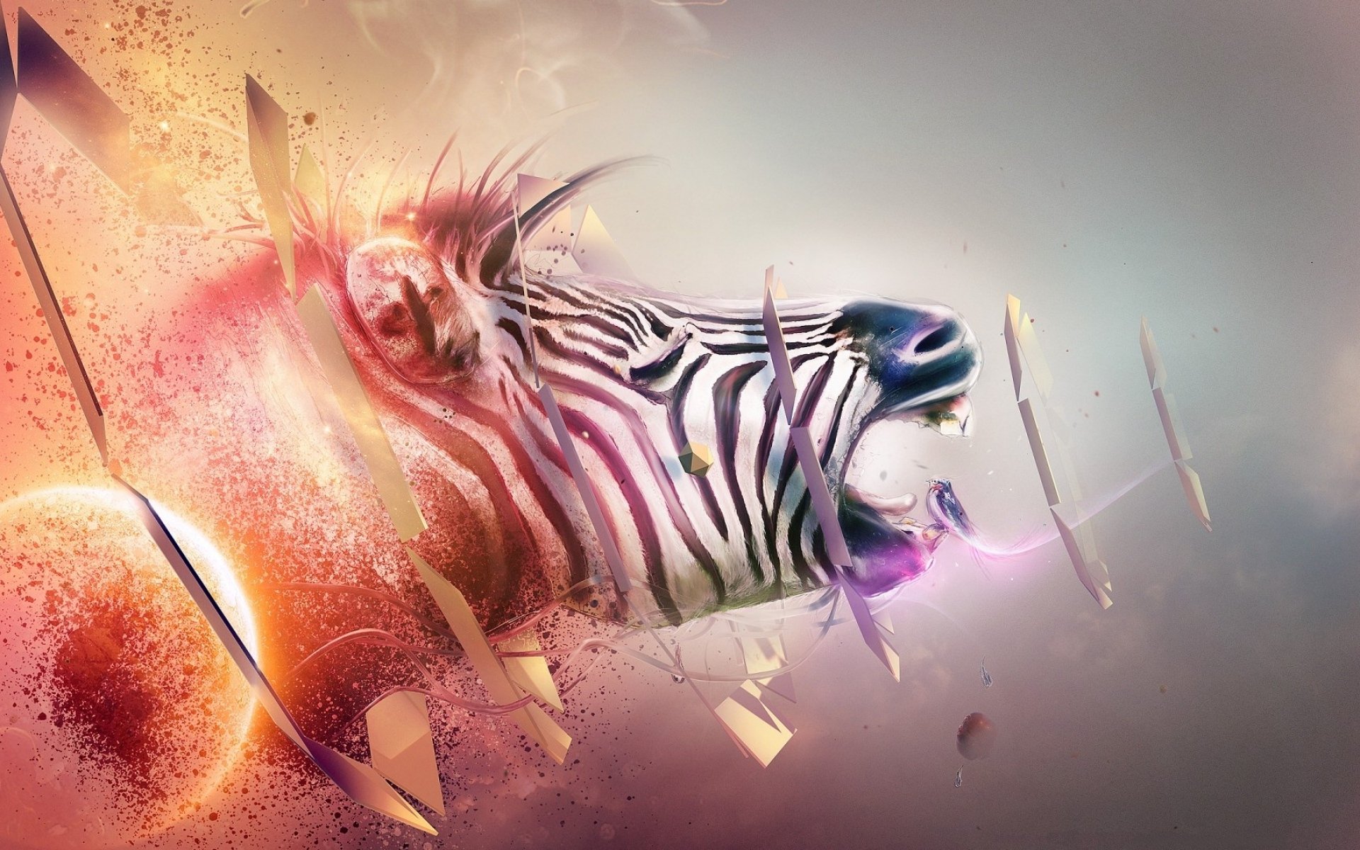 Cool Zebra Wallpapers