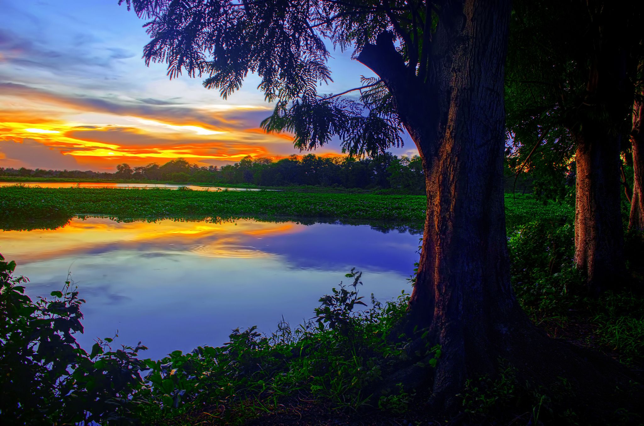 Download Nature Sunset HD Wallpaper