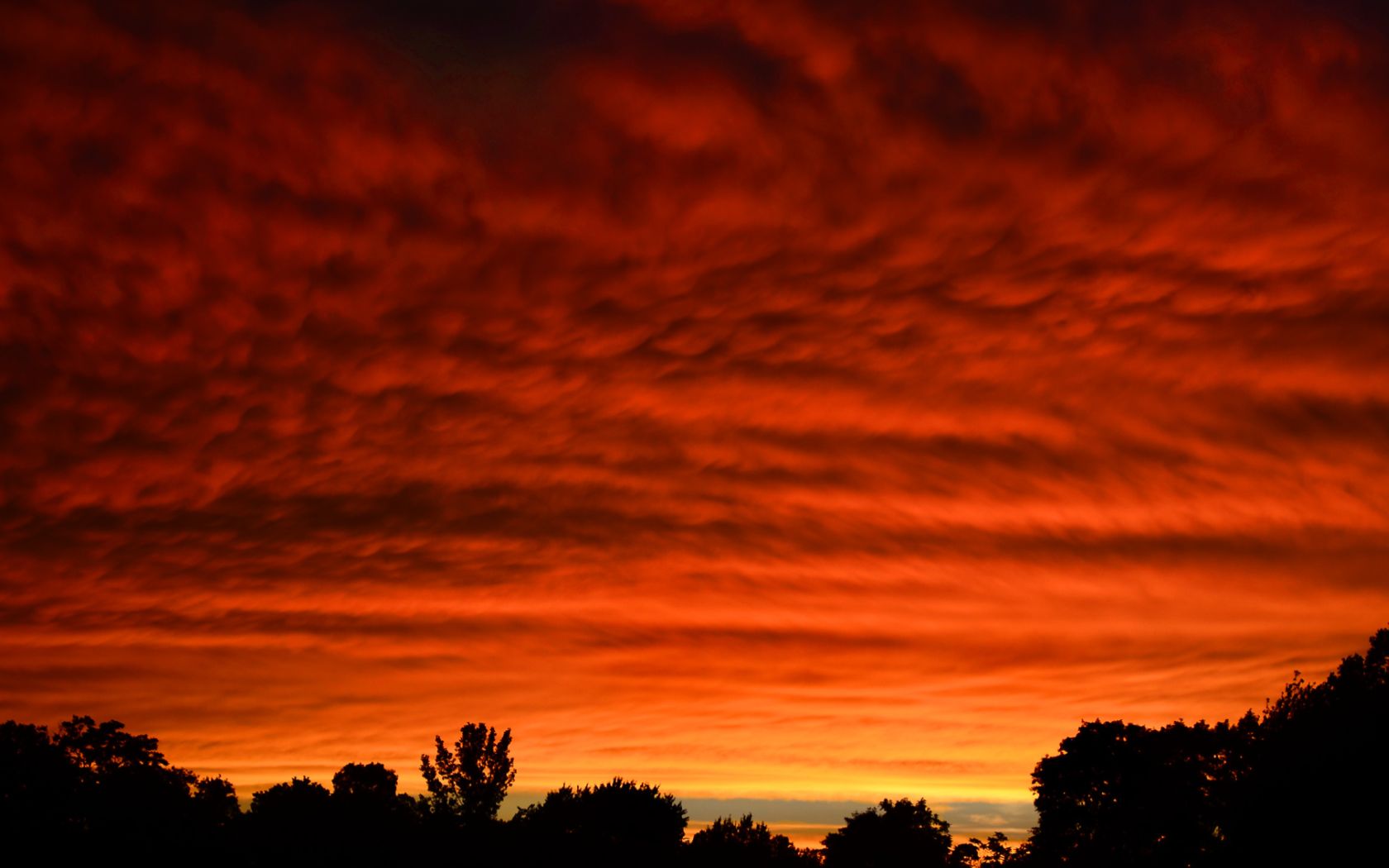 Nature Sunset Wallpaper