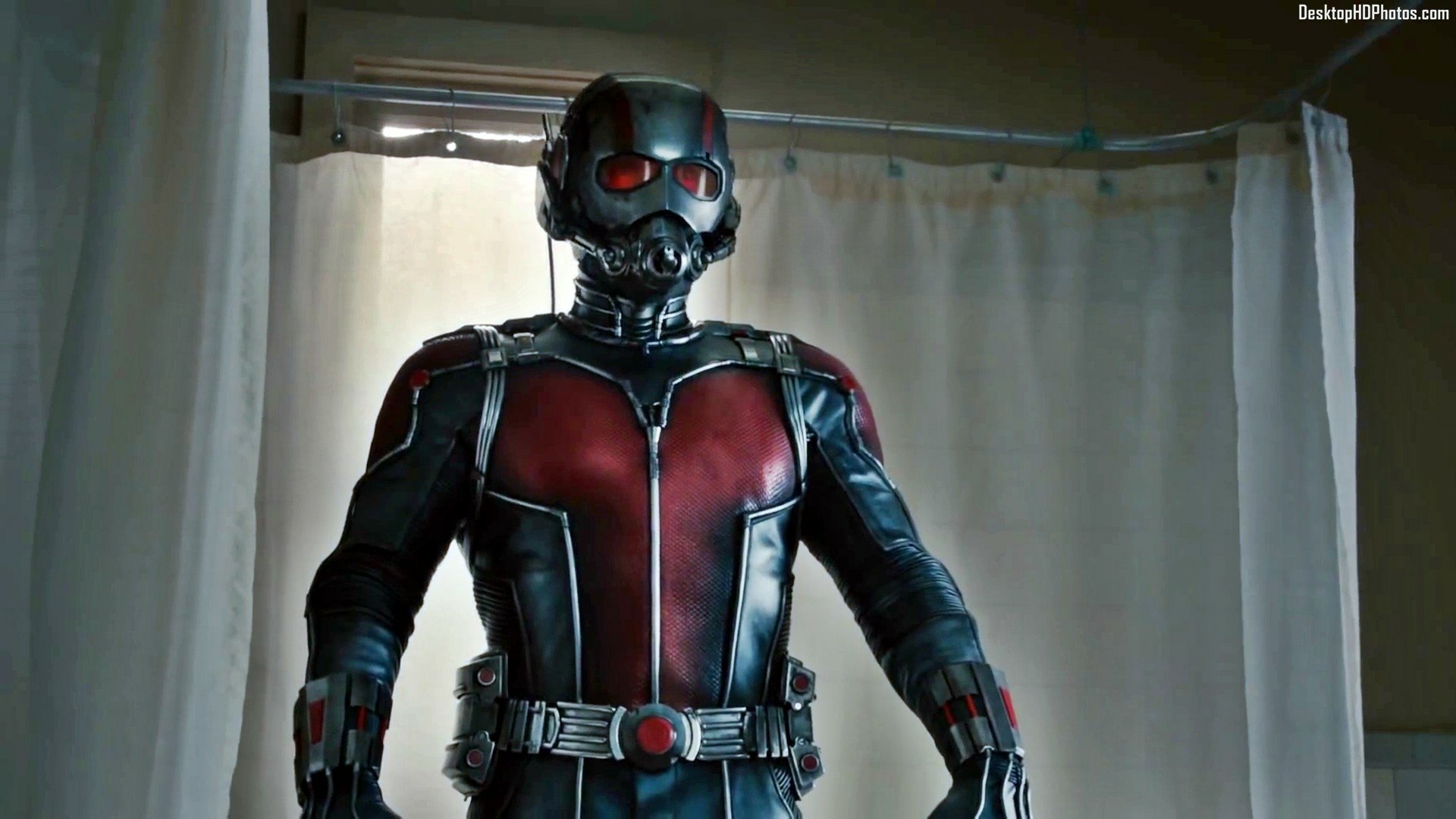 Download Movie Ant-Man HD Wallpaper