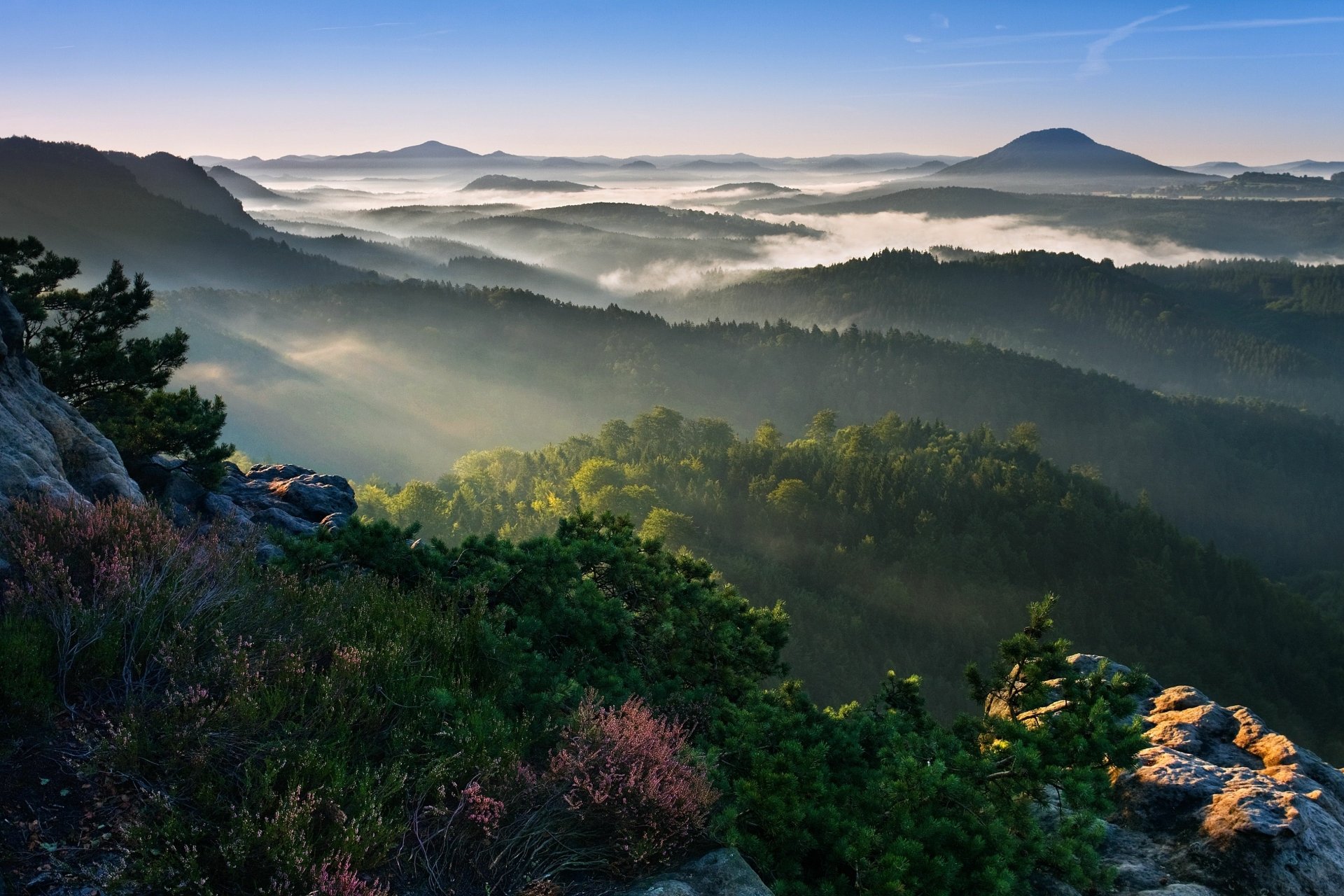 Download Nature Fog HD Wallpaper