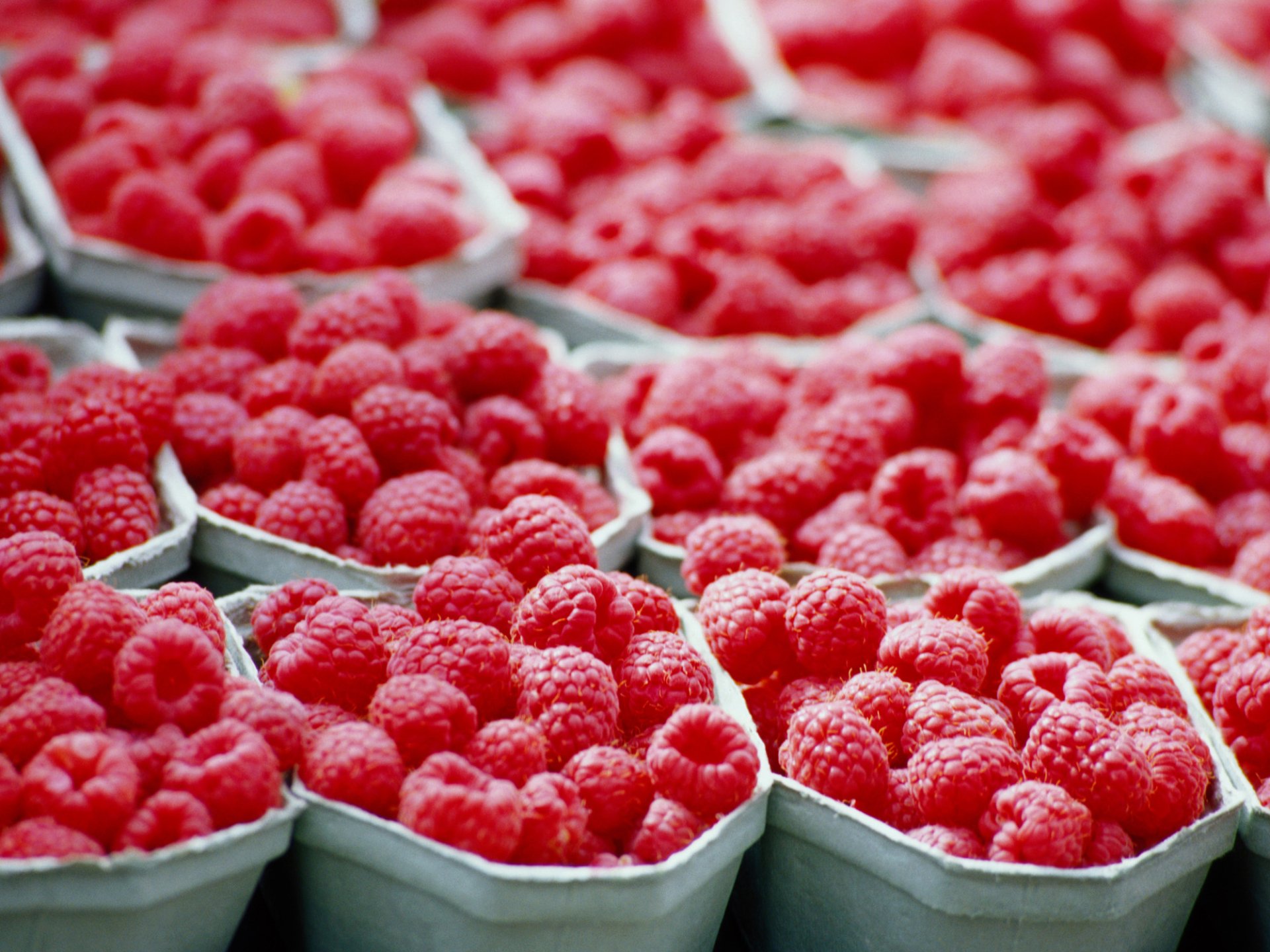 Download Food Raspberry HD Wallpaper
