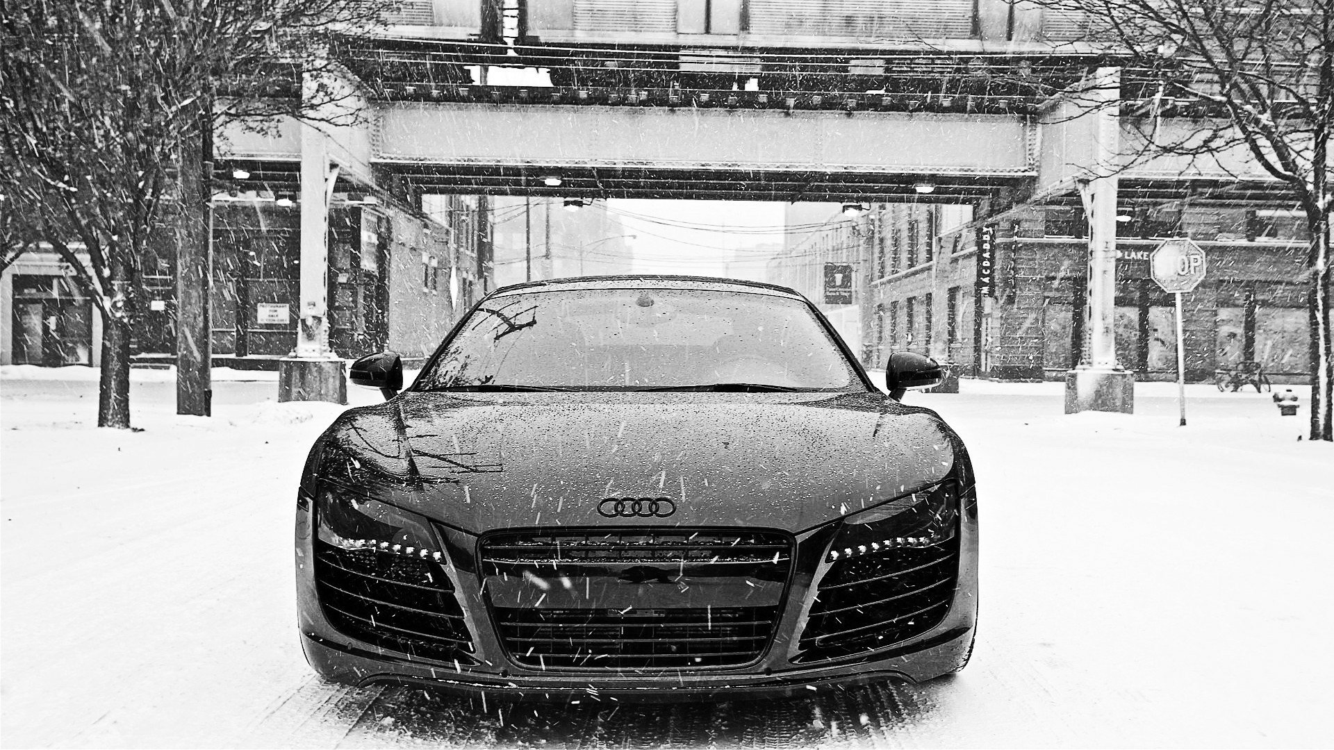 Download Vehicle Audi HD Wallpaper