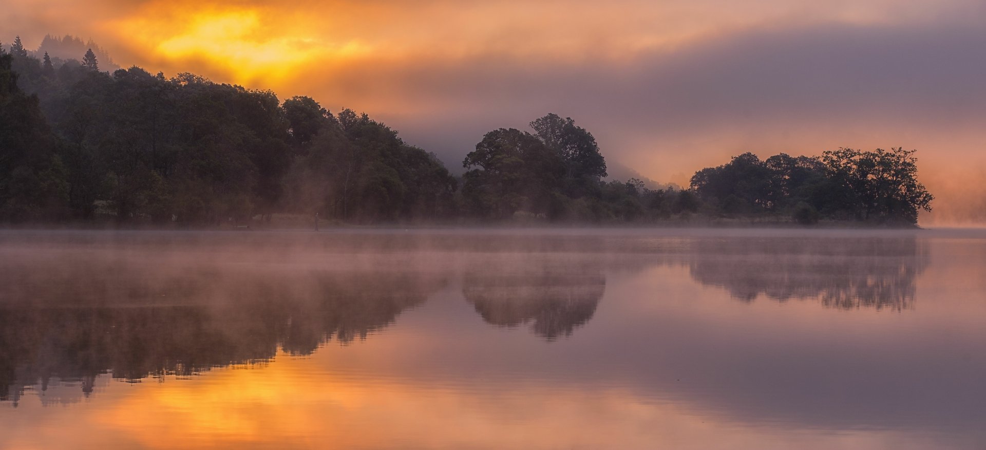 Download Nature Fog 4k Ultra HD Wallpaper