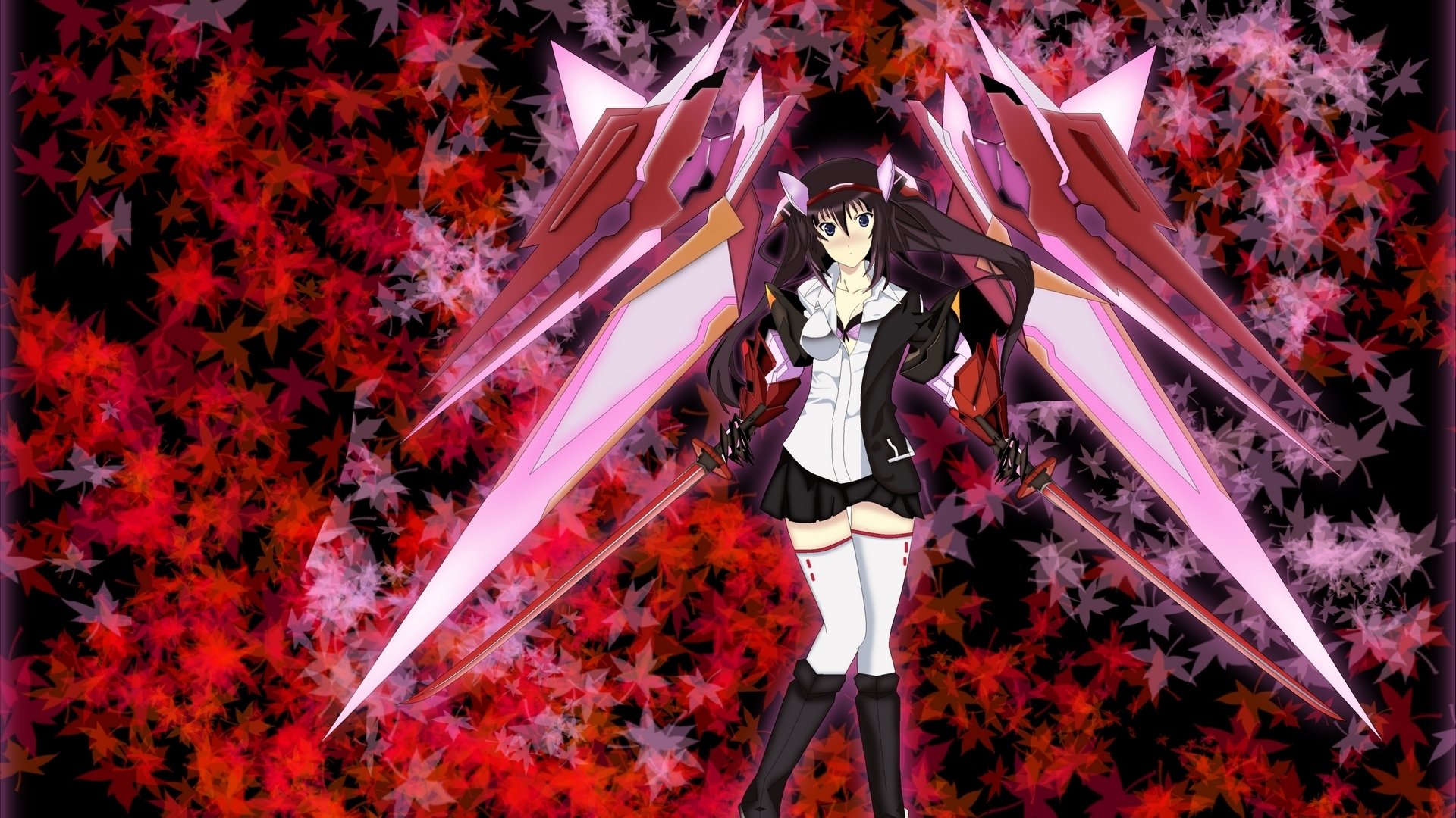 Download Anime Infinite Stratos HD Wallpaper