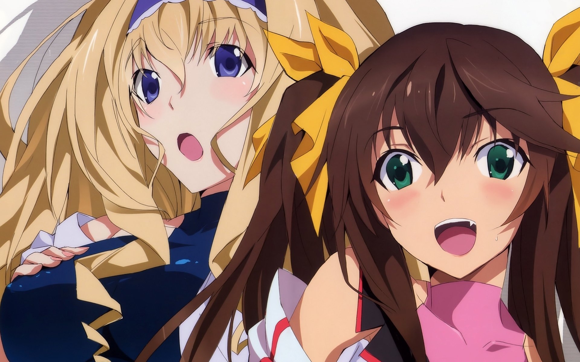 Download Anime Infinite Stratos HD Wallpaper