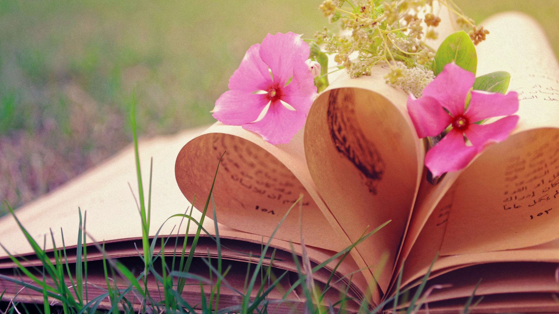 Blooming Pages: Close-Up Book HD Wallpaper