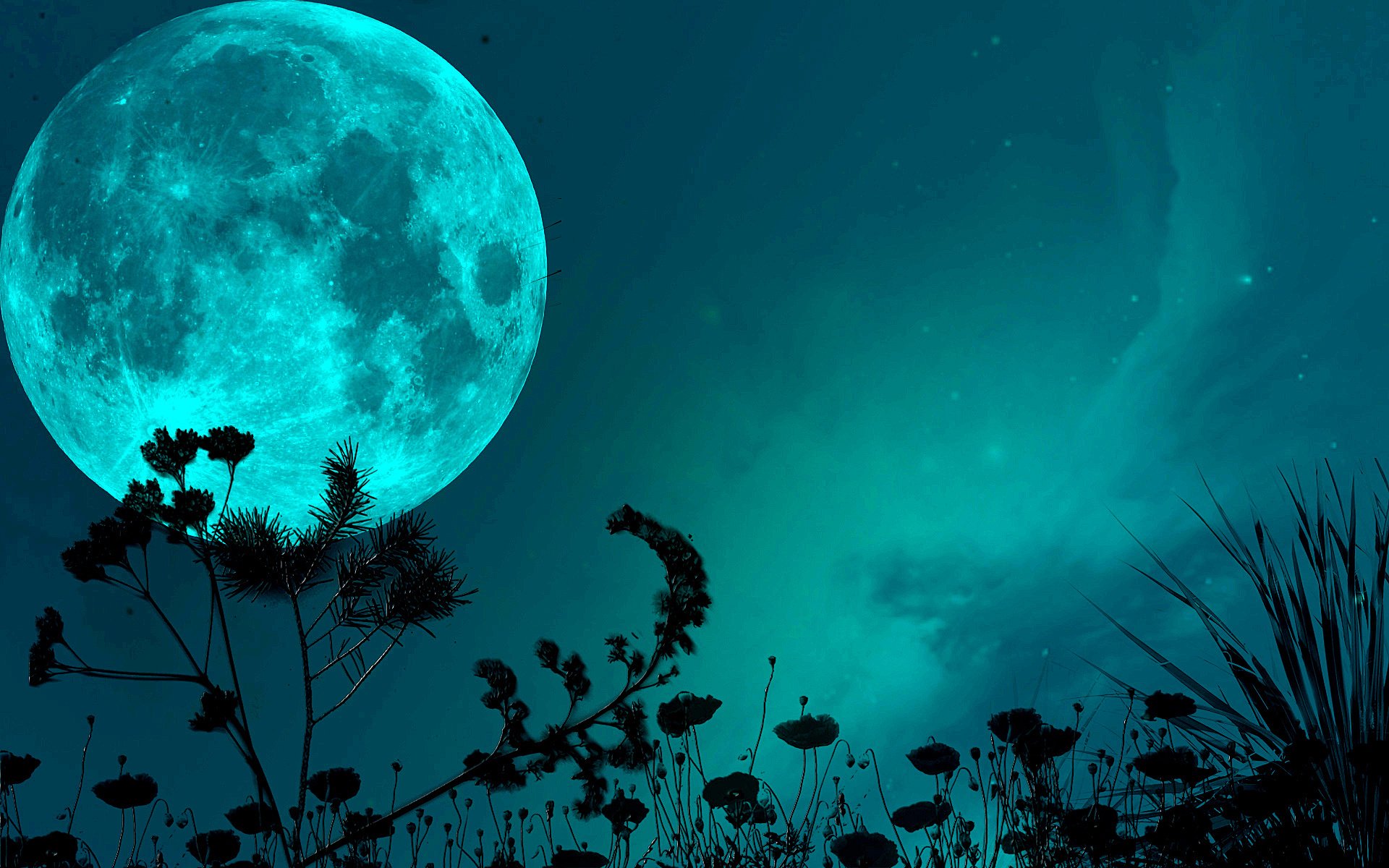 HD Wallpaper of Nature Under a Beautiful Moon