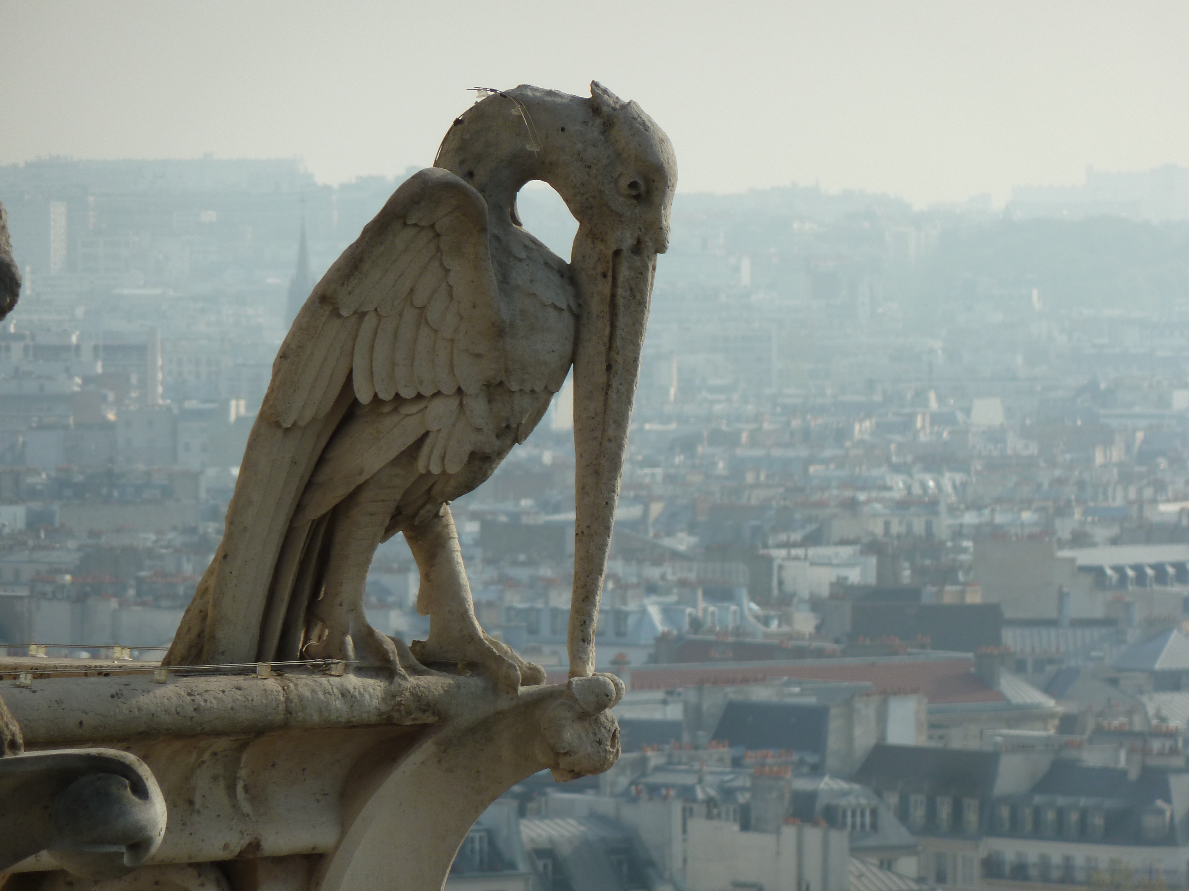 Download Man Made Statue 4k Ultra HD Wallpaper