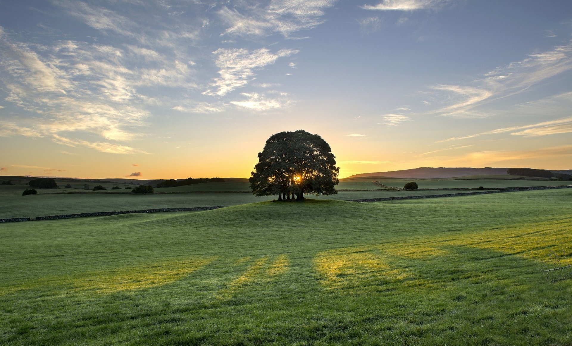 Download Meadow Morning England Dawn Sunrise Nature Tree HD Wallpaper