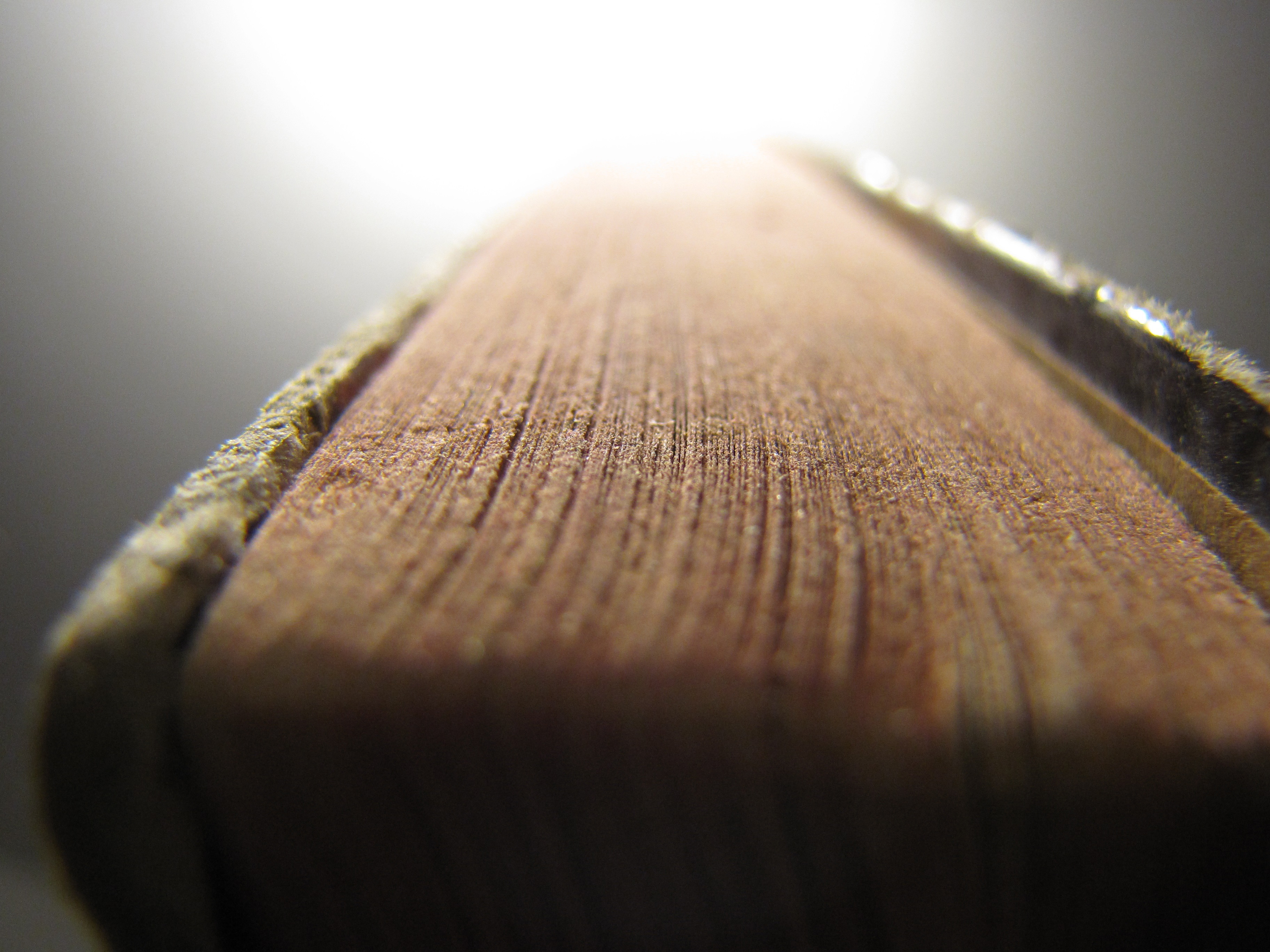 Depth of Field: The Timeless Texture of a Man-Made Book