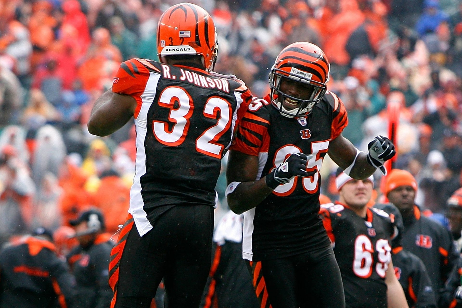 Cincinnati Bengals HD Wallpaper