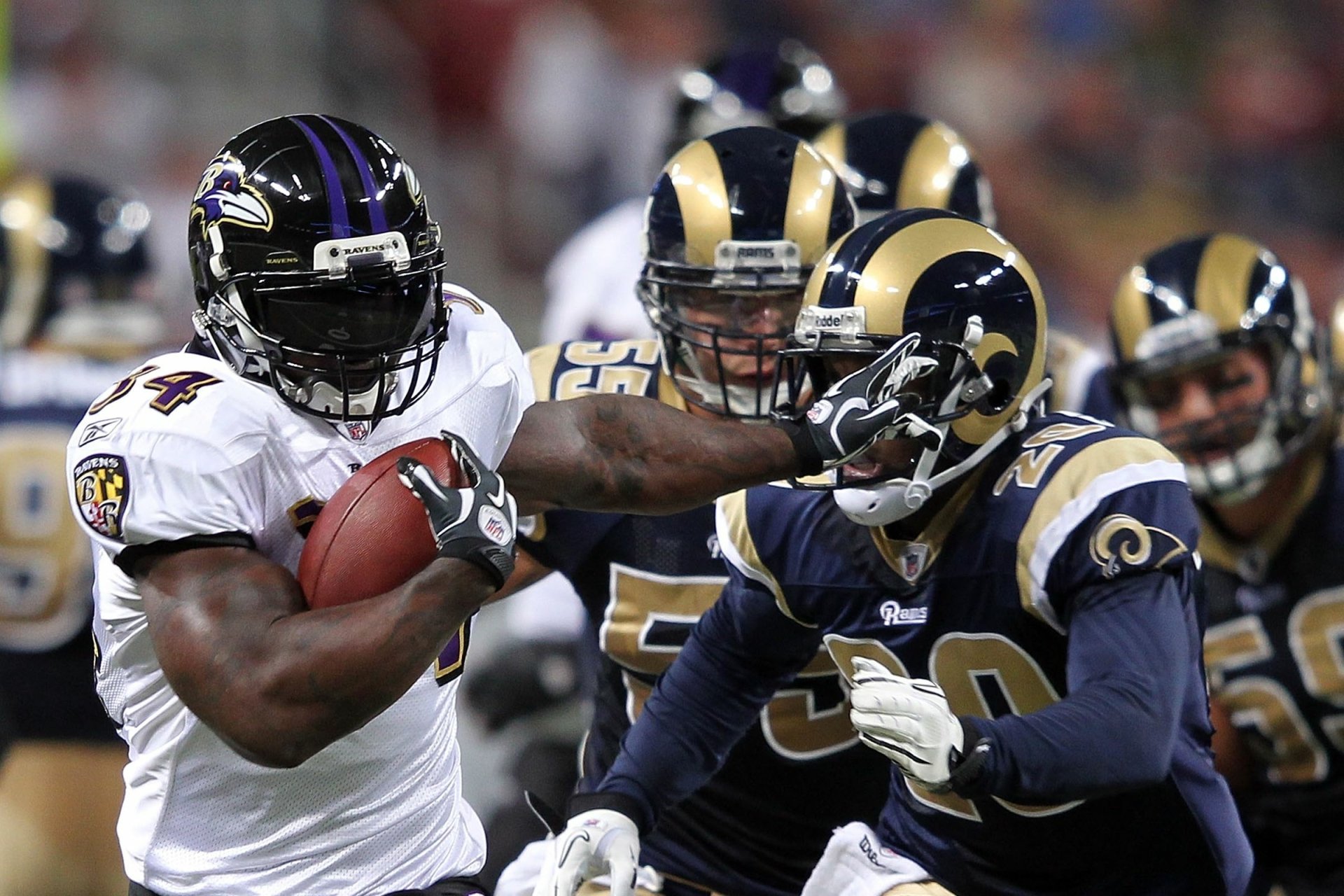 Download Baltimore Ravens Sports HD Wallpaper