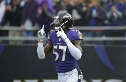 Baltimore Ravens - Desktop Wallpapers, Phone Wallpaper, PFP, Gifs, and ...