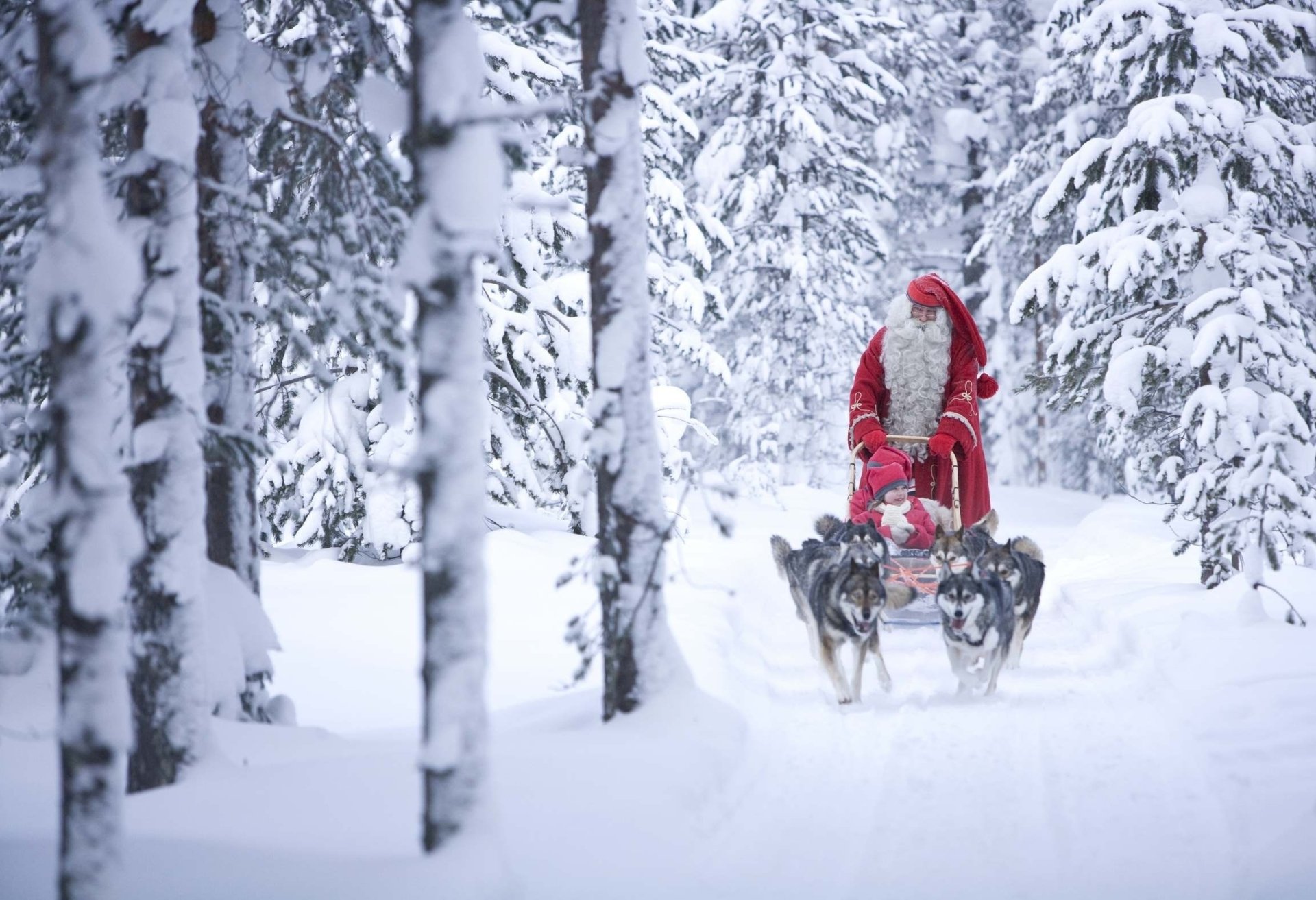 Santa’s Sleigh Ride: Winter Wonderland with Child and Dogs in Snowy ...