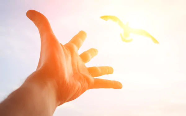 [90+] Hand 4k Wallpapers