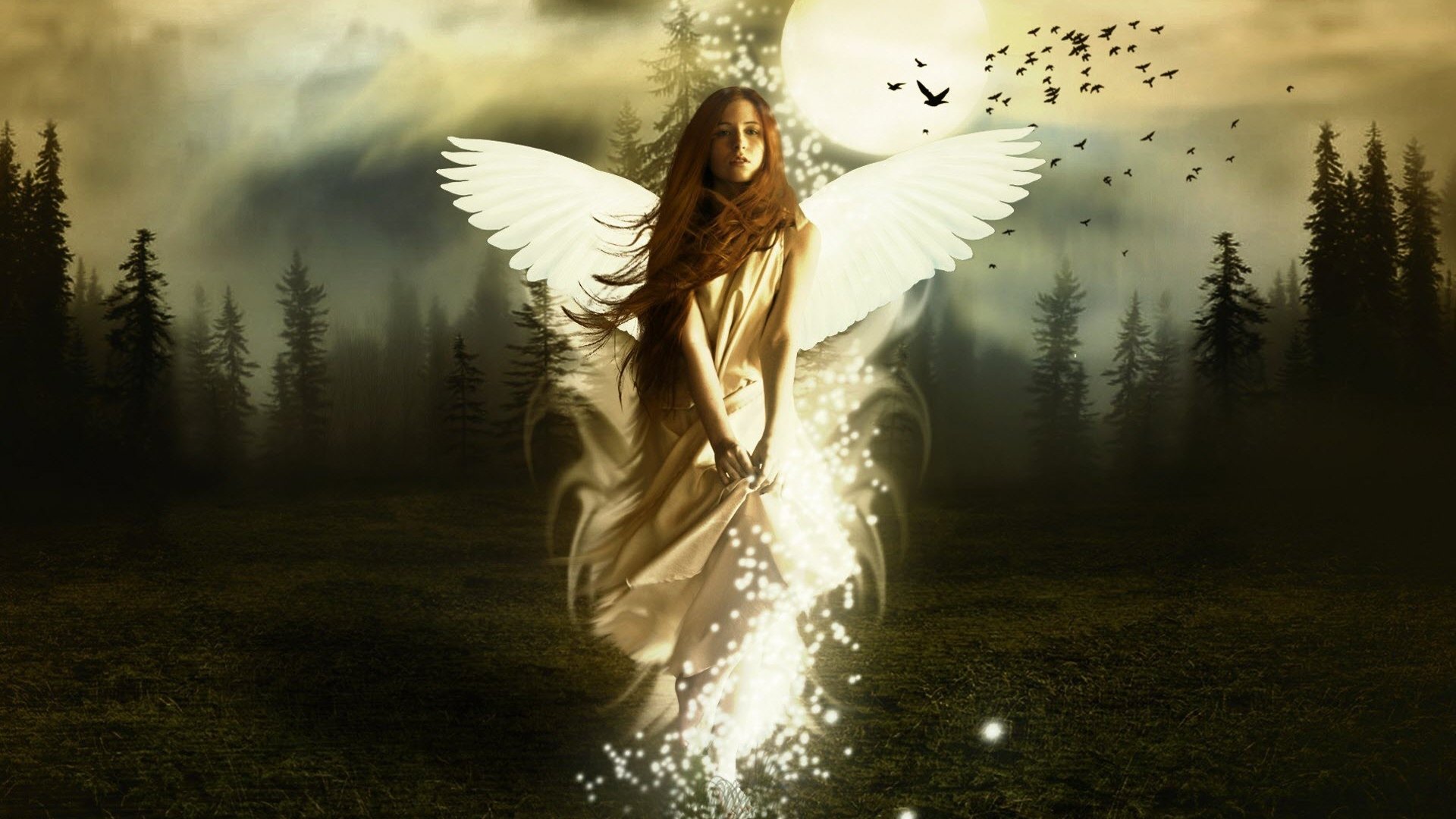 Mystical Angel Wings Amid Foggy Moonlit Forest – HD Fantasy Wallpaper