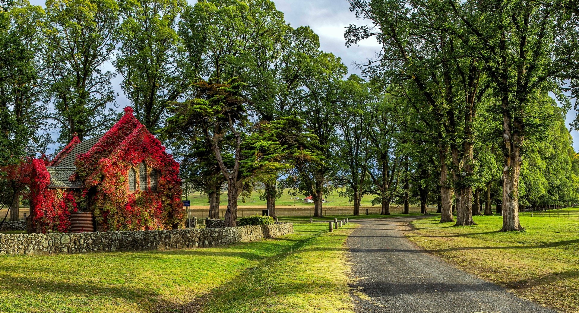 Serene Fall Road to a Vine-Clad Church | 4K Ultra HD Wallpaper