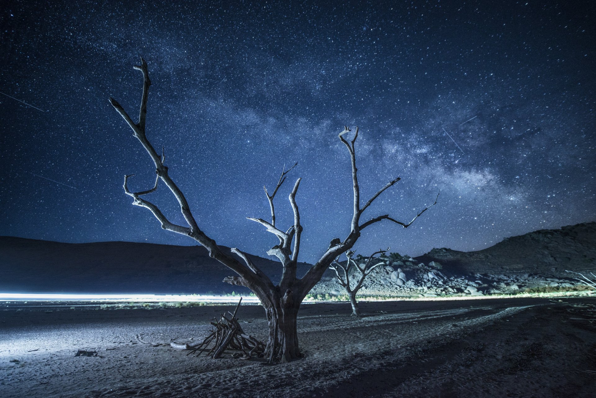 Celestial Solitude: Lone Tree Beneath the Sci-Fi Milky Way Nightscape ...