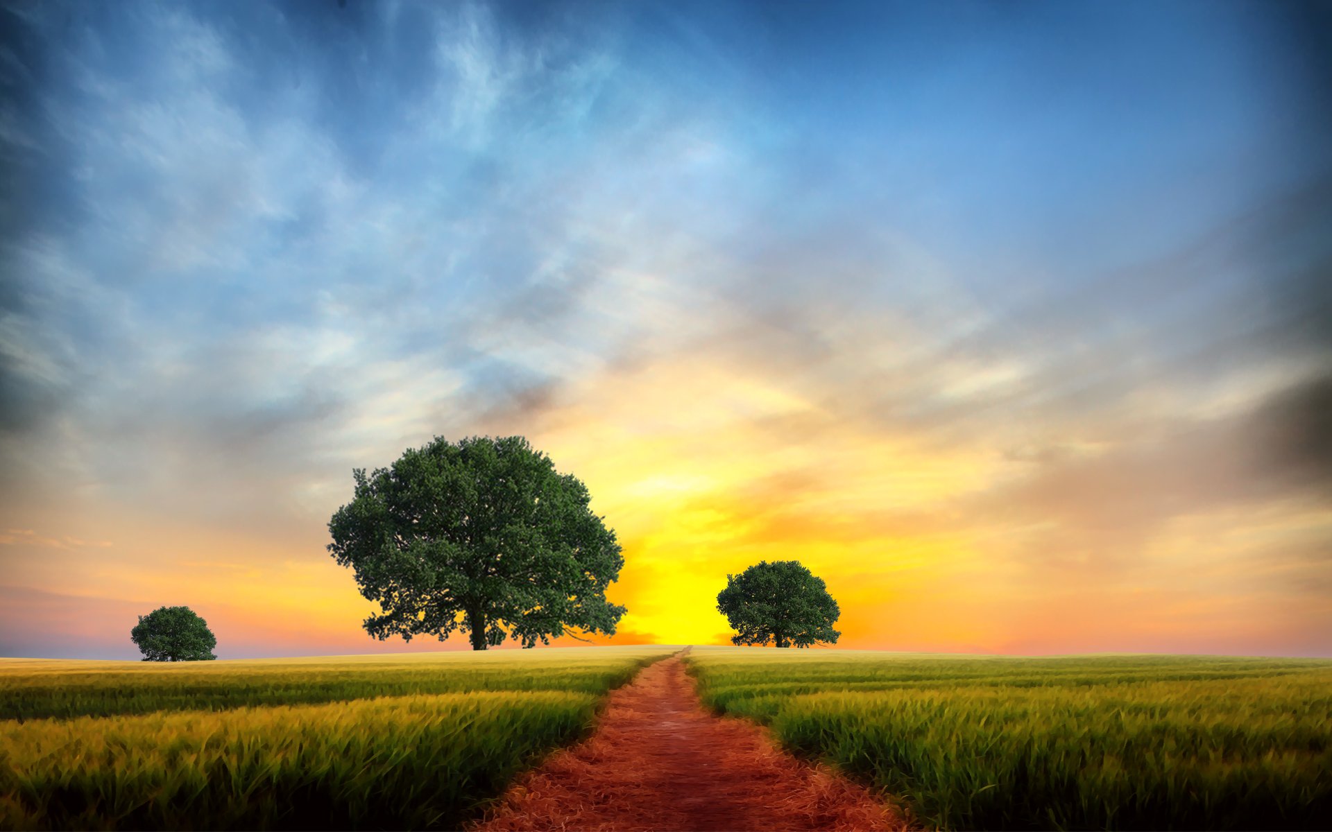 Download Landscape Nature Tree Field Path Sky Sunset HD Wallpaper
