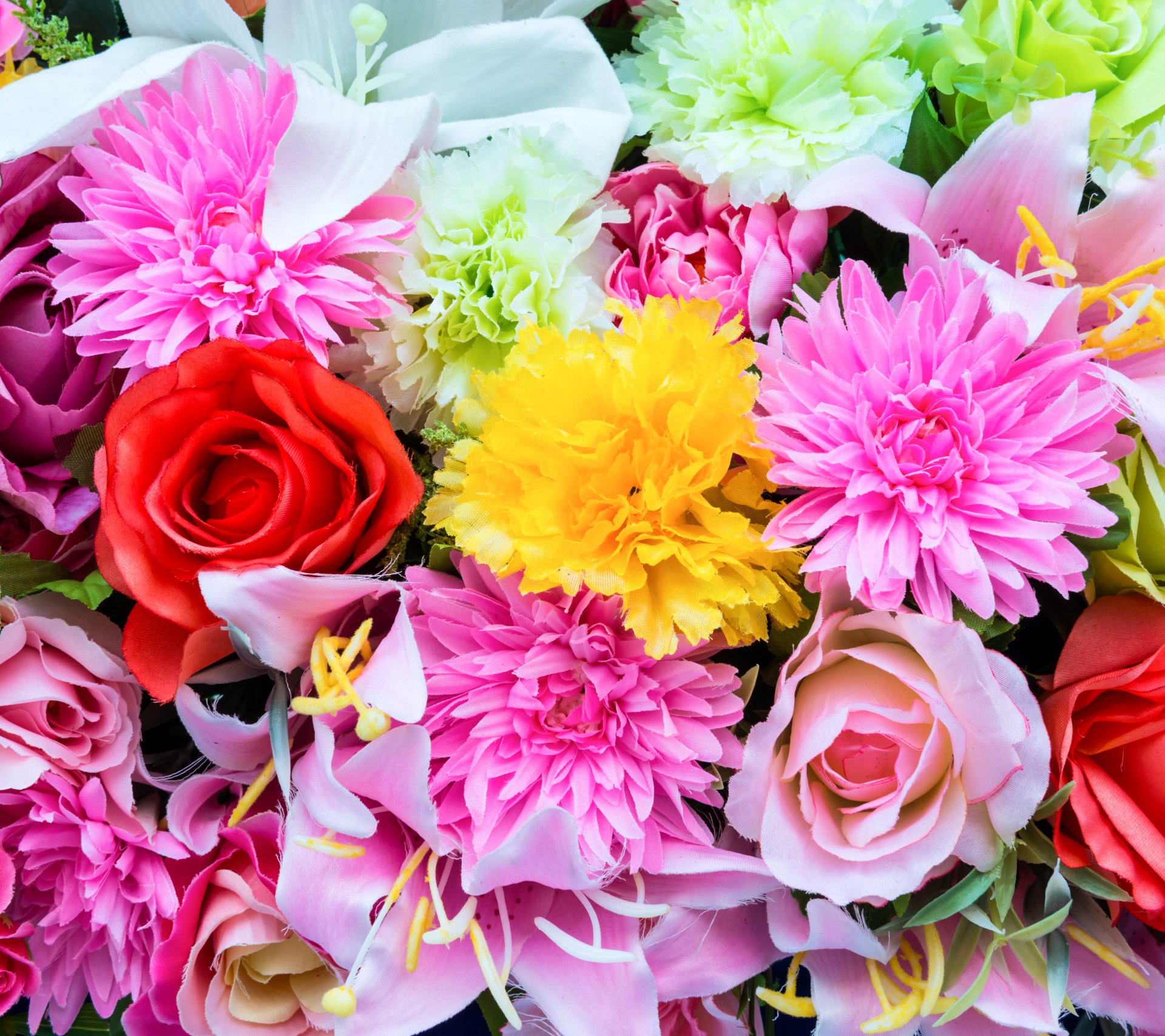 Vibrant 4K Ultra HD: Colorful Roses & Dahlias in Bloom