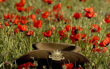 Anzac Day - Desktop Wallpapers, Phone Wallpaper, PFP, Gifs, and More!