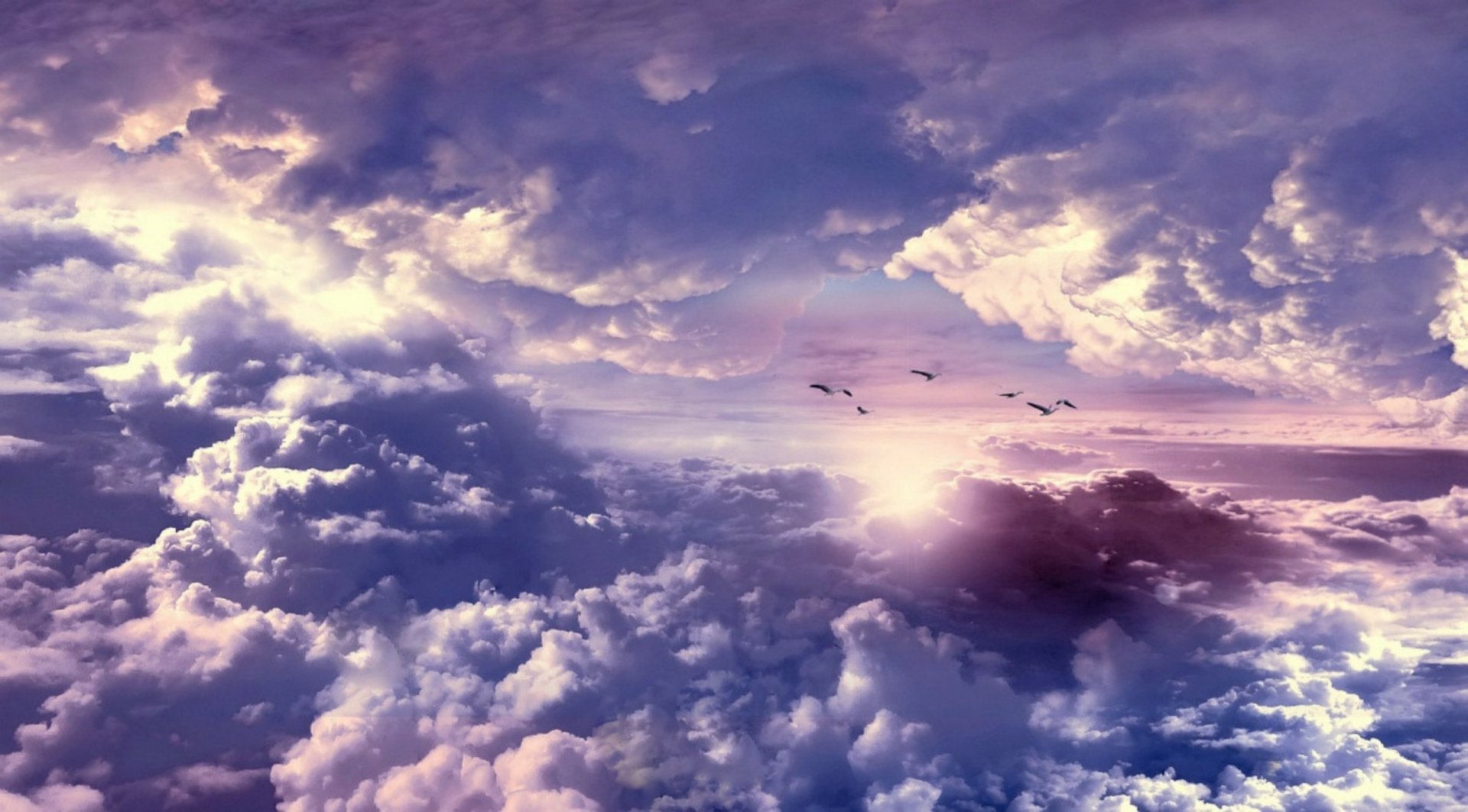 Download Flying Bird Cloud Nature Sky HD Wallpaper | 2560x1417 ...