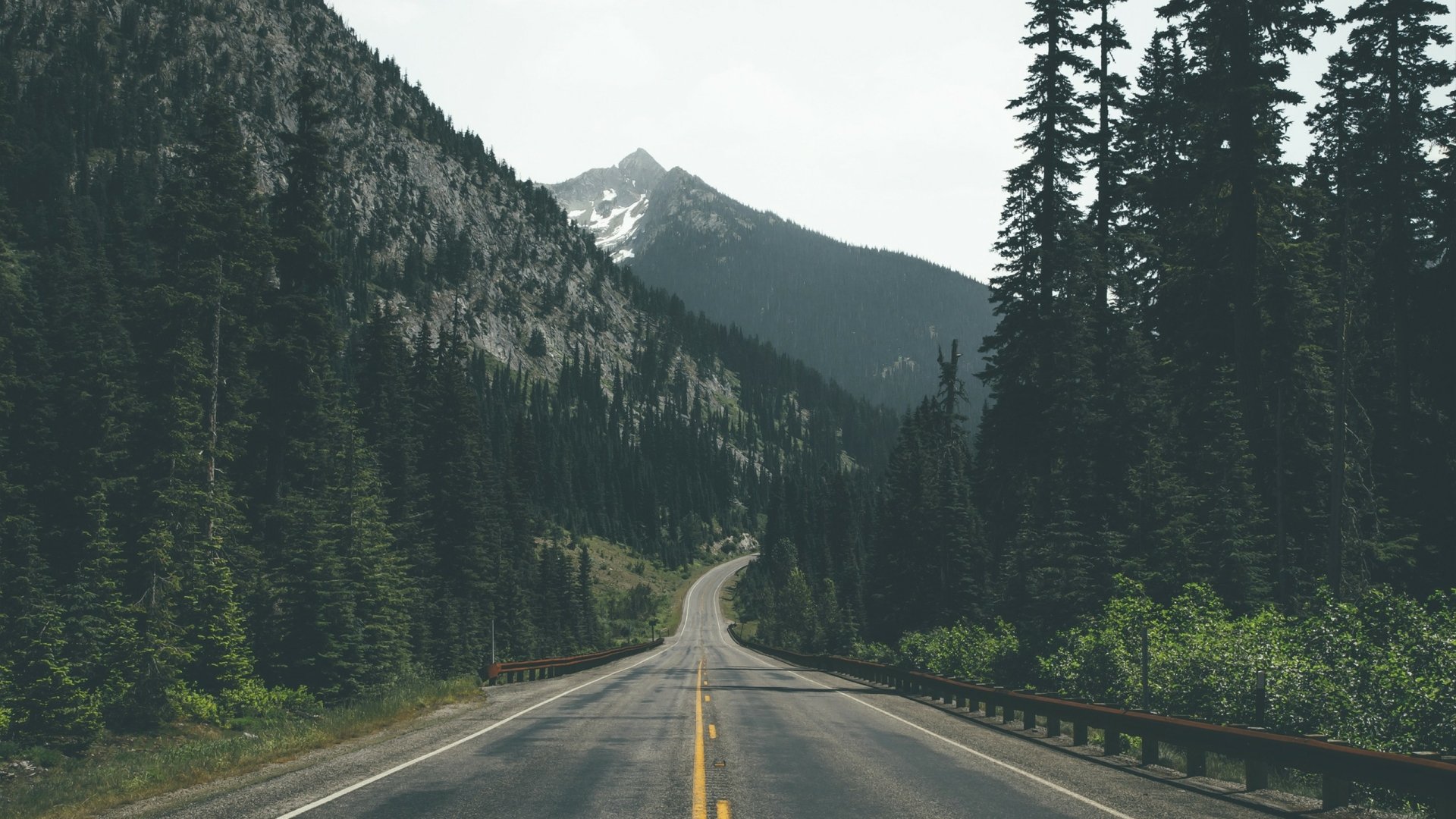 Download Mountain Forest Man Made Road HD Wallpaper | 2560x1440 ...