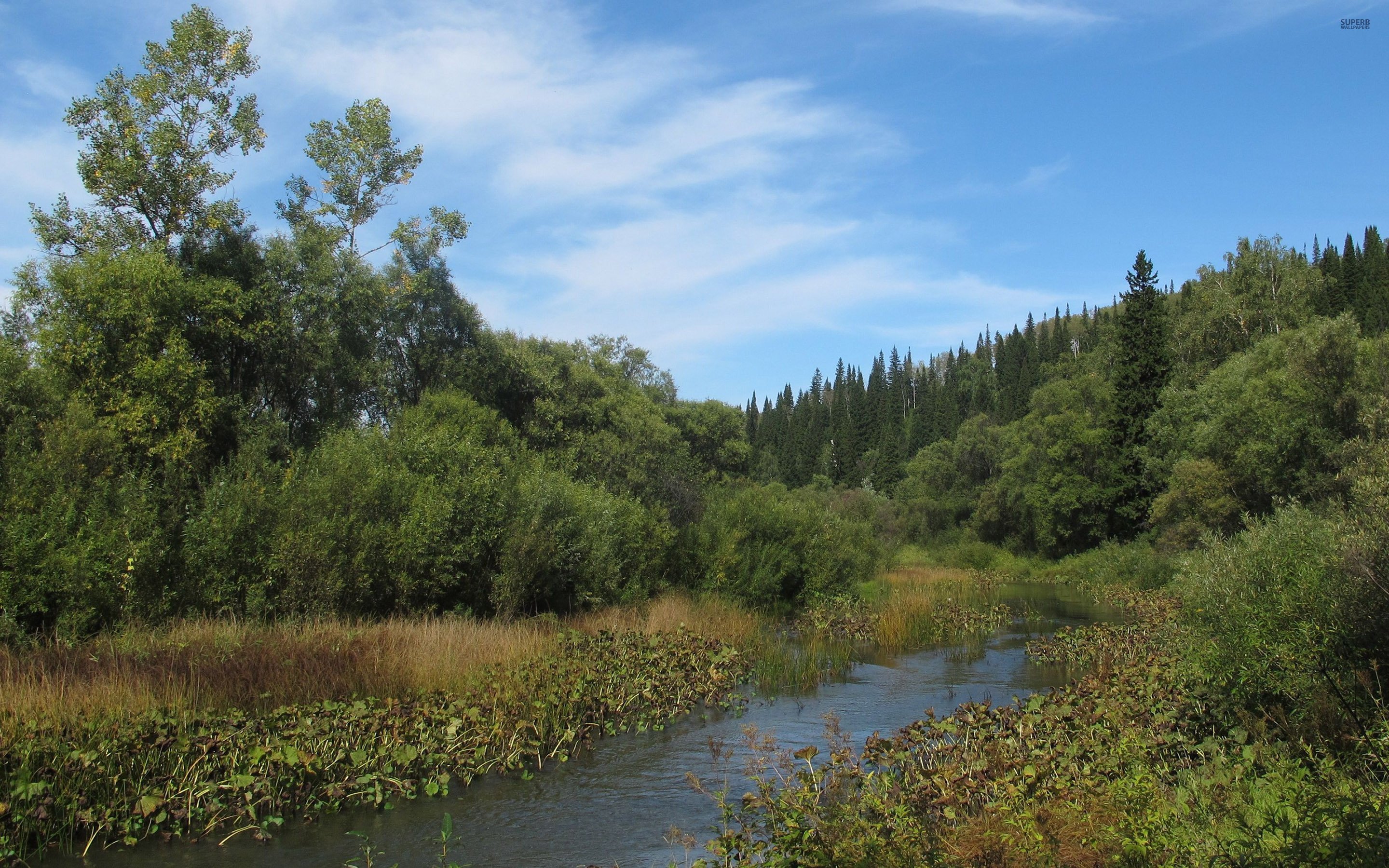 Download Stream Tree Nature Landscape HD Wallpaper