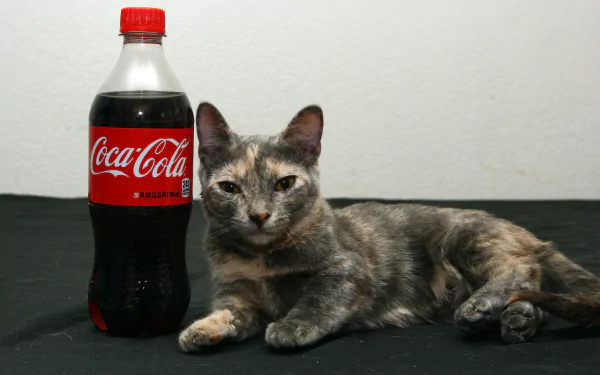 [10+] Coca Cola 4k Wallpapers