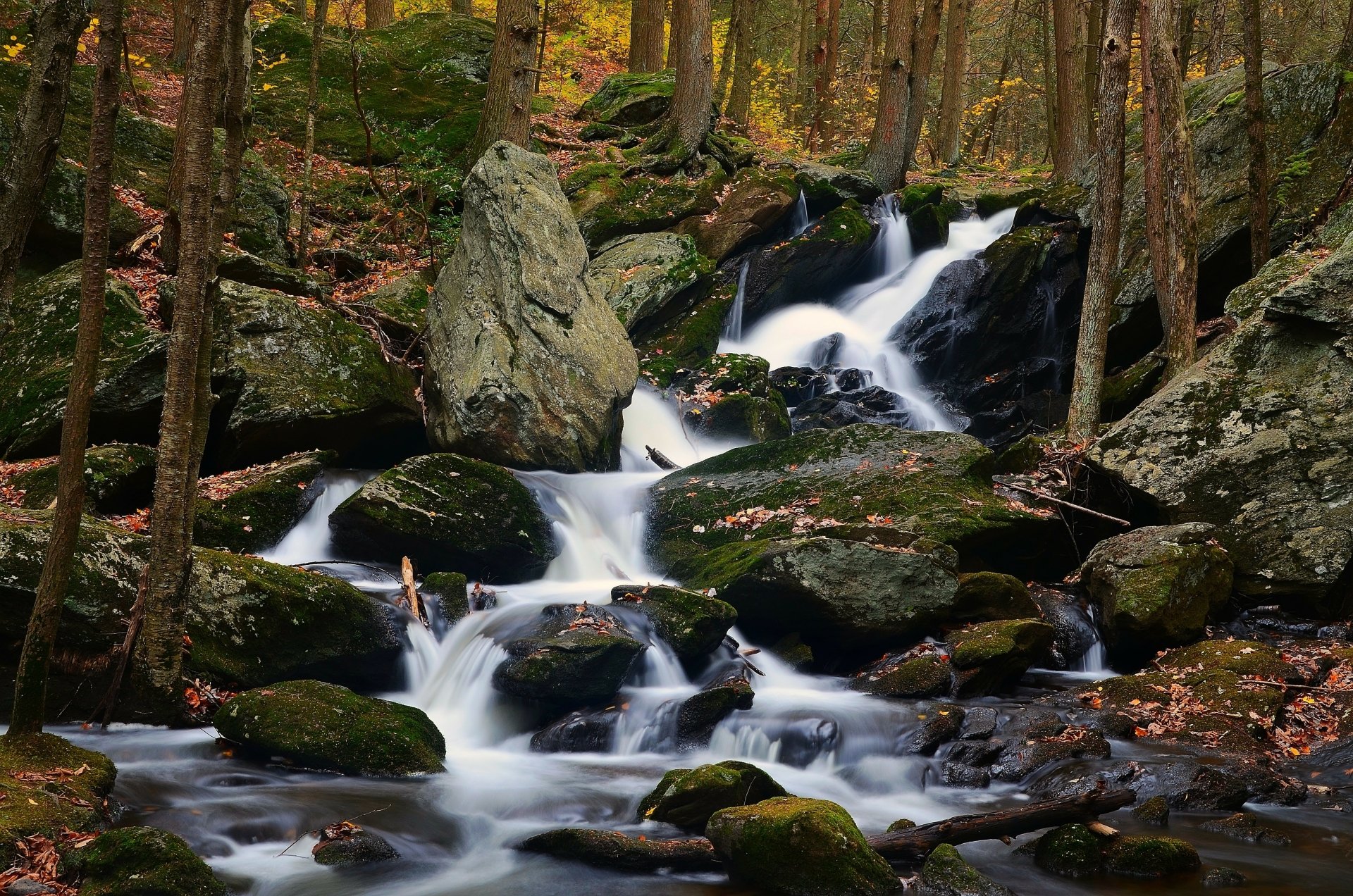 Download Fall Forest Waterfall Nature Stream 4k Ultra HD Wallpaper