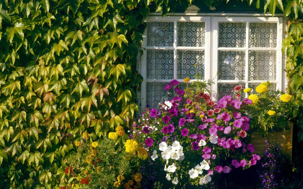 Spring Garden Courtyard HD Wallpaper