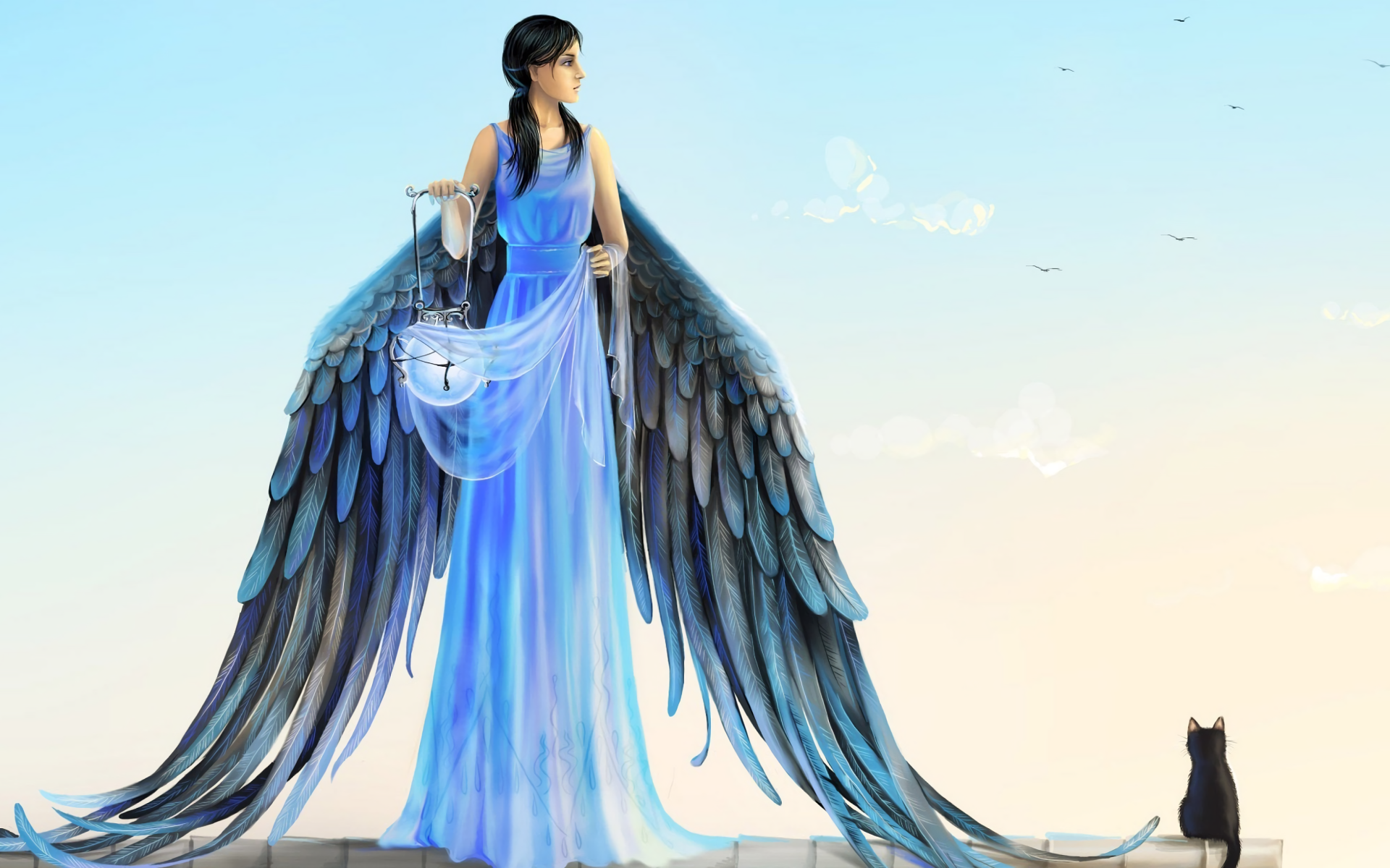 Download Wings Cat Blue Fantasy Angel HD Wallpaper