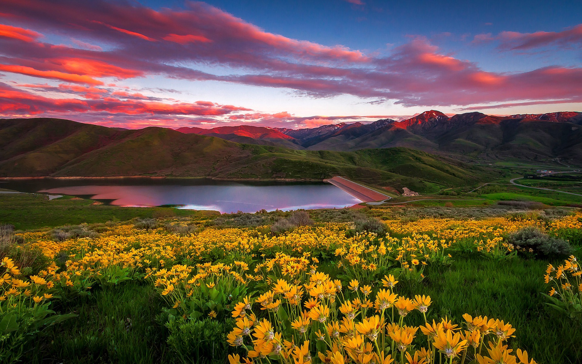 Download Yellow Flower Spring Lake Mountain Flower Nature Landscape HD ...