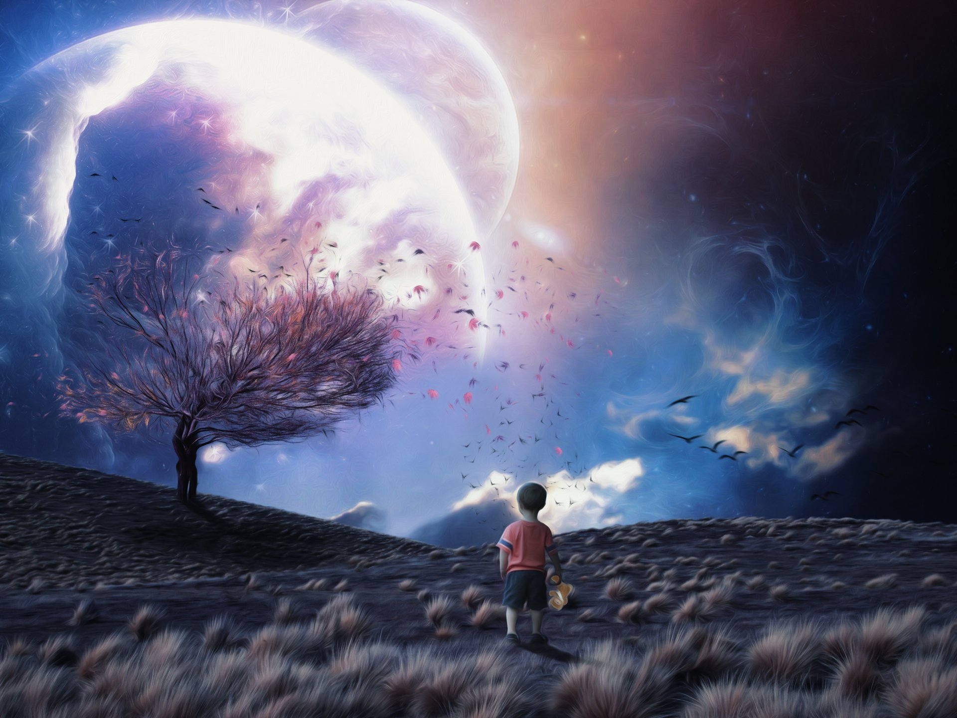 Download Planet Field Fantasy Child HD Wallpaper by Milos Karanovic ...
