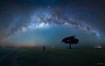 Download Milky Way Starry Sky Star Tree Sky Earth Sci Fi PFP