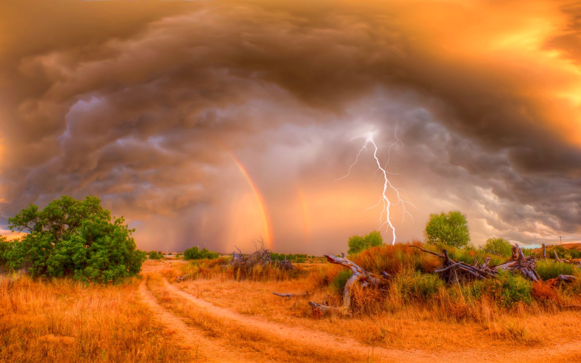 Storm’s Embrace: Lightning Strikes Under a Rainbow Sky in a Golden Field