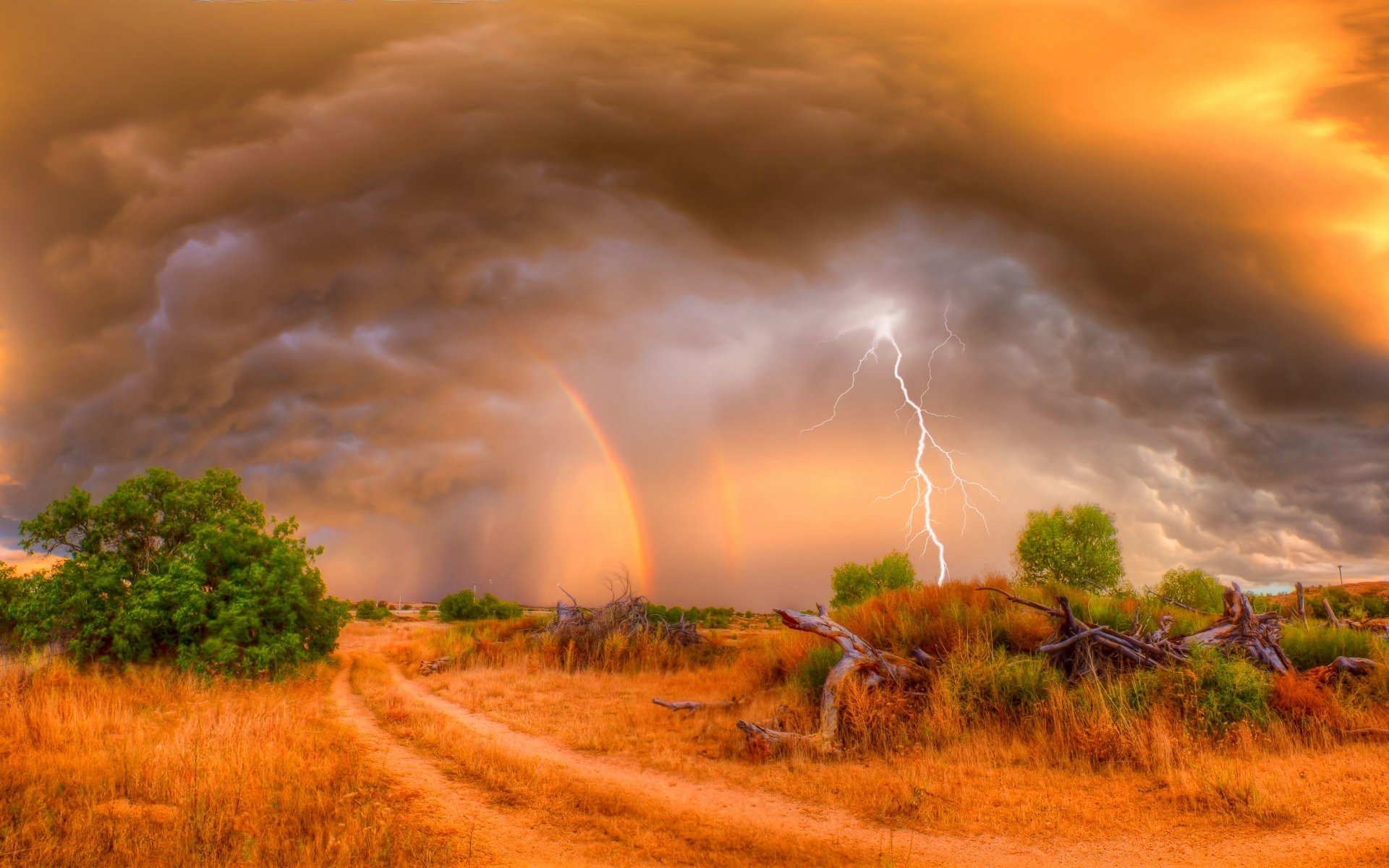 Storm’s Embrace: Lightning Strikes Under a Rainbow Sky in a Golden Field