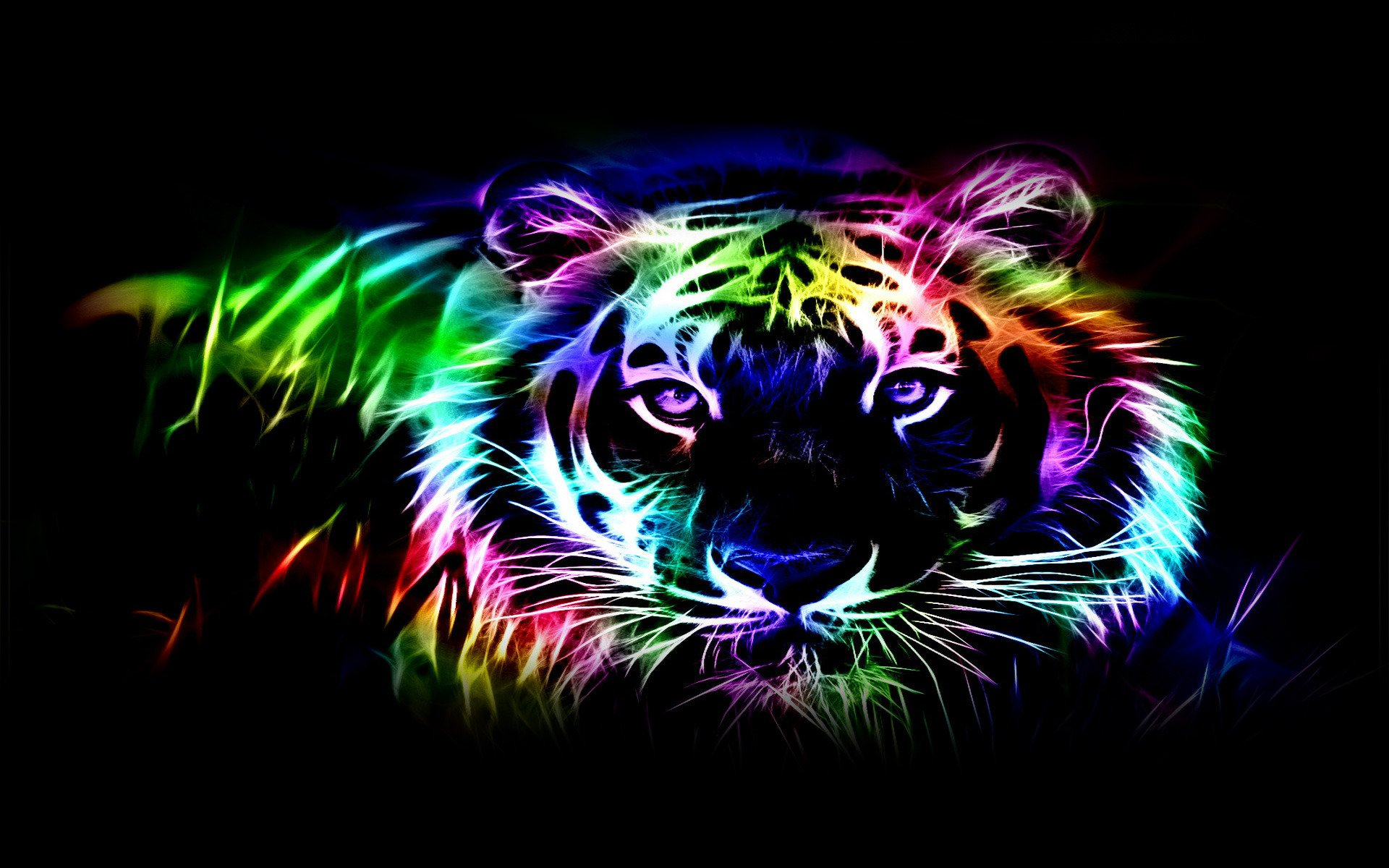 Colorful Tiger Backgrounds