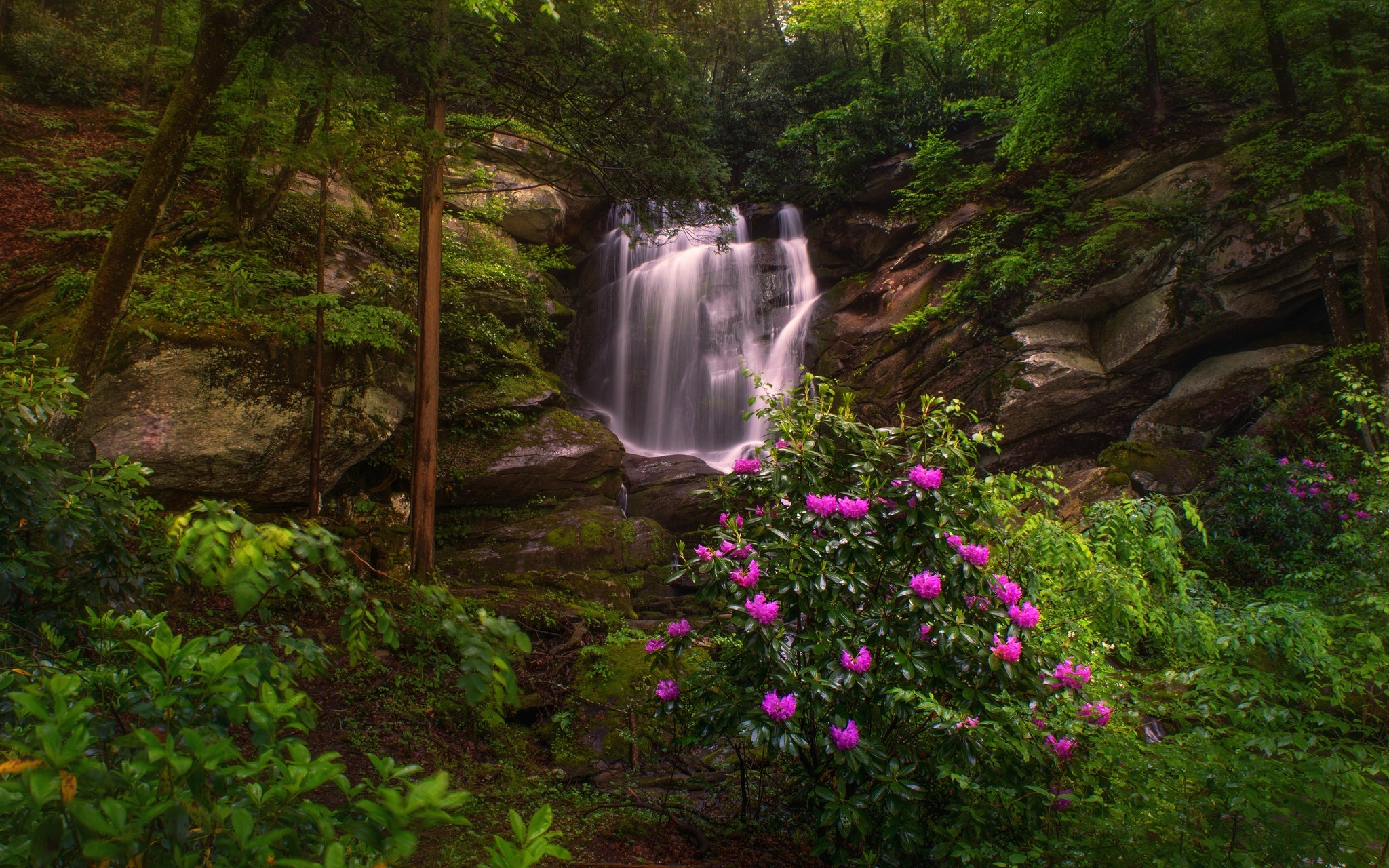 Beautiful Waterfall With Purple Flowers Violet Impressionist Nature