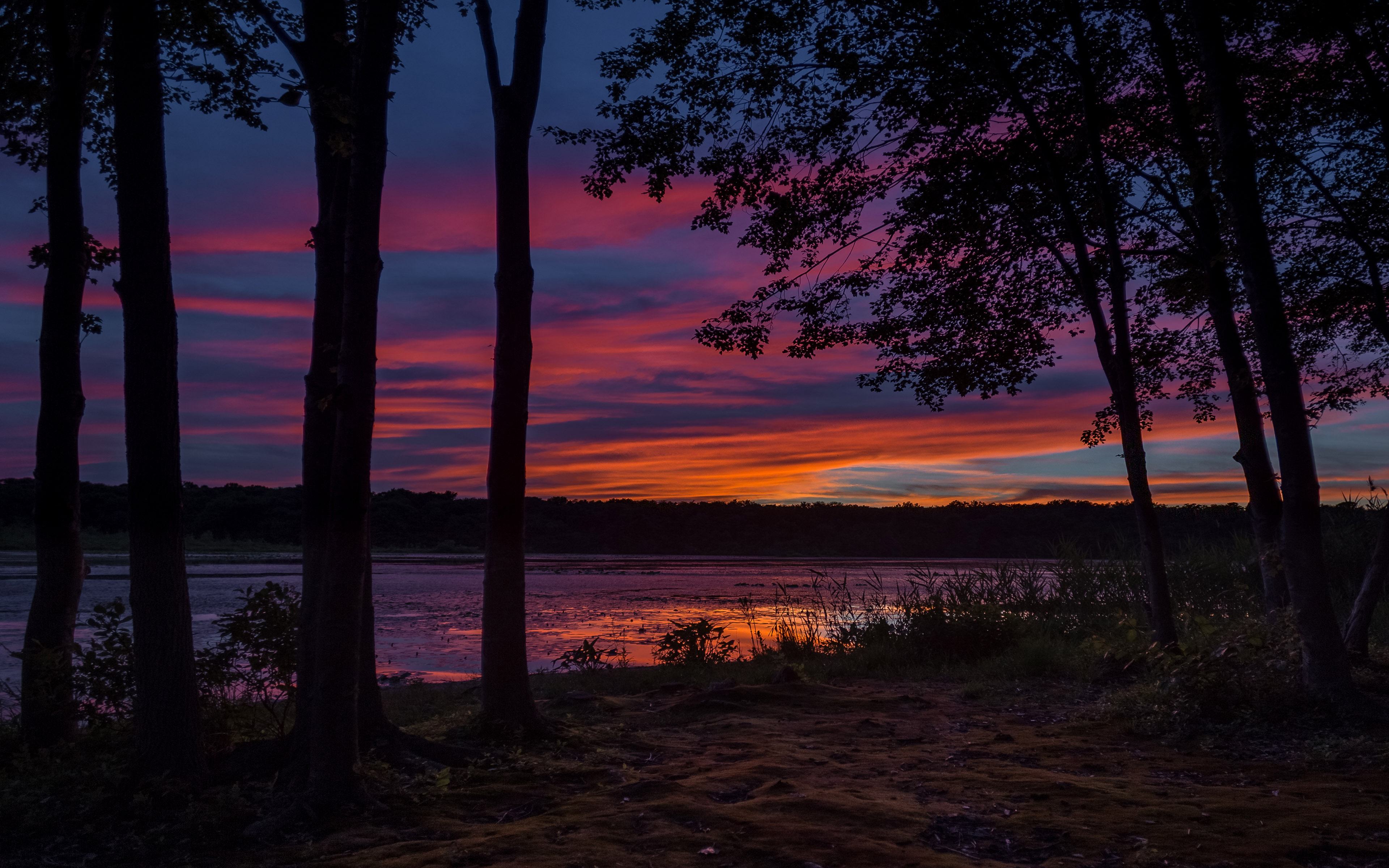 Download Silhouette Tree Sky Helmetta Pond Lake Nature Sunset 4k Ultra ...