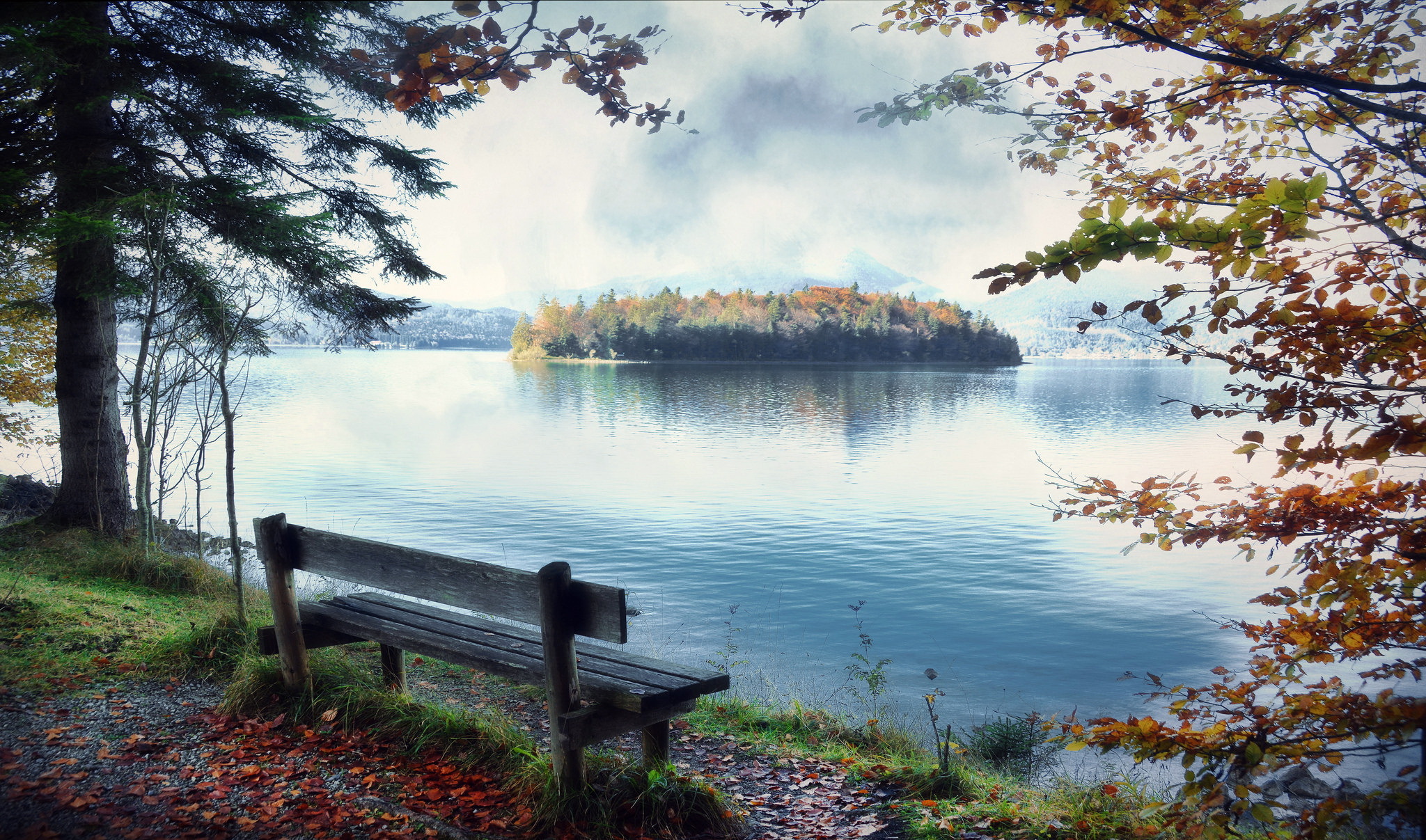 Bench On A Lake Wallpaper Wallpaper Mural Bench By A Quiet Lake