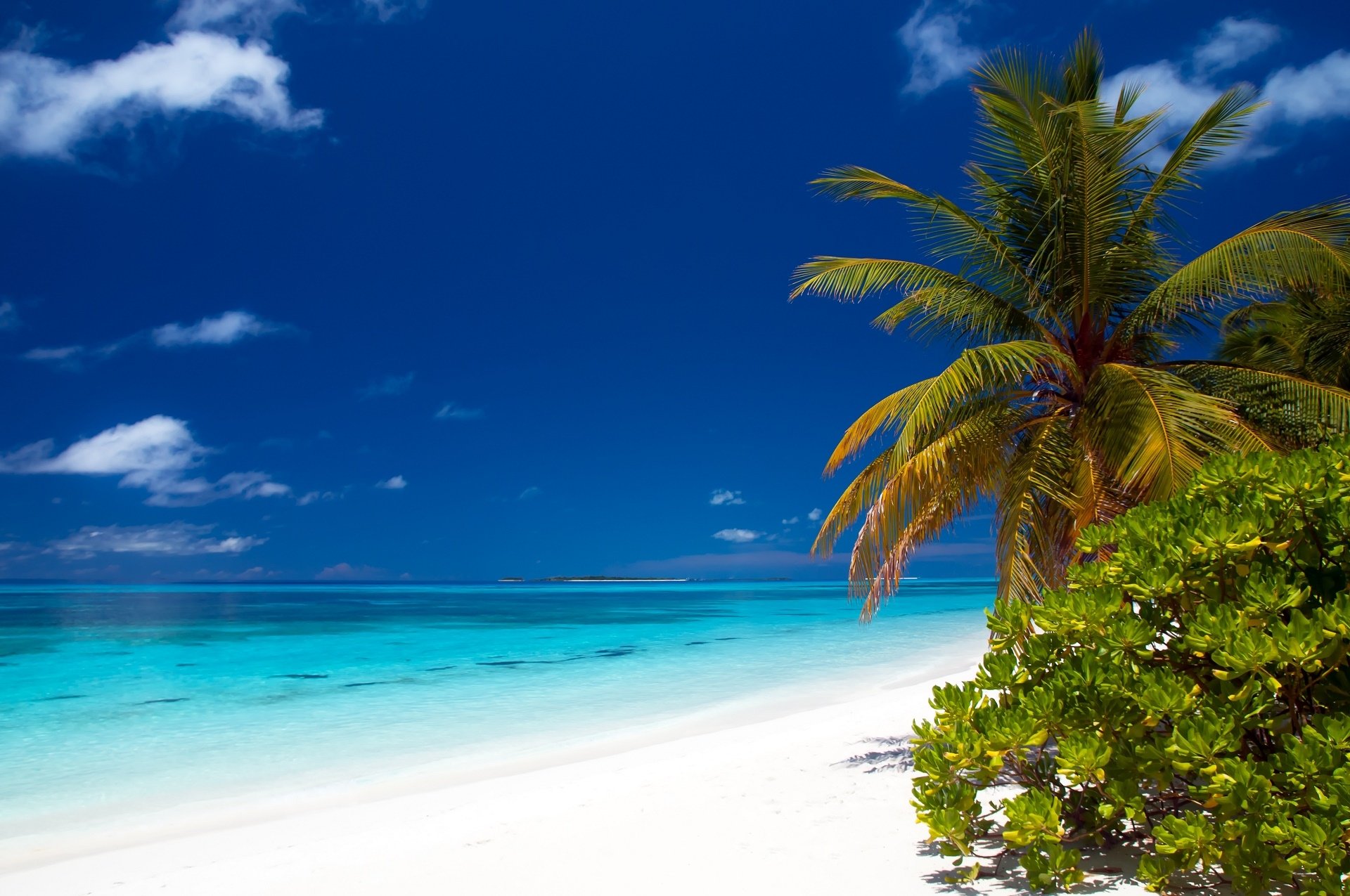 Download Nature Beach HD Wallpaper | 1920x1275 | Wallpaper Abyss